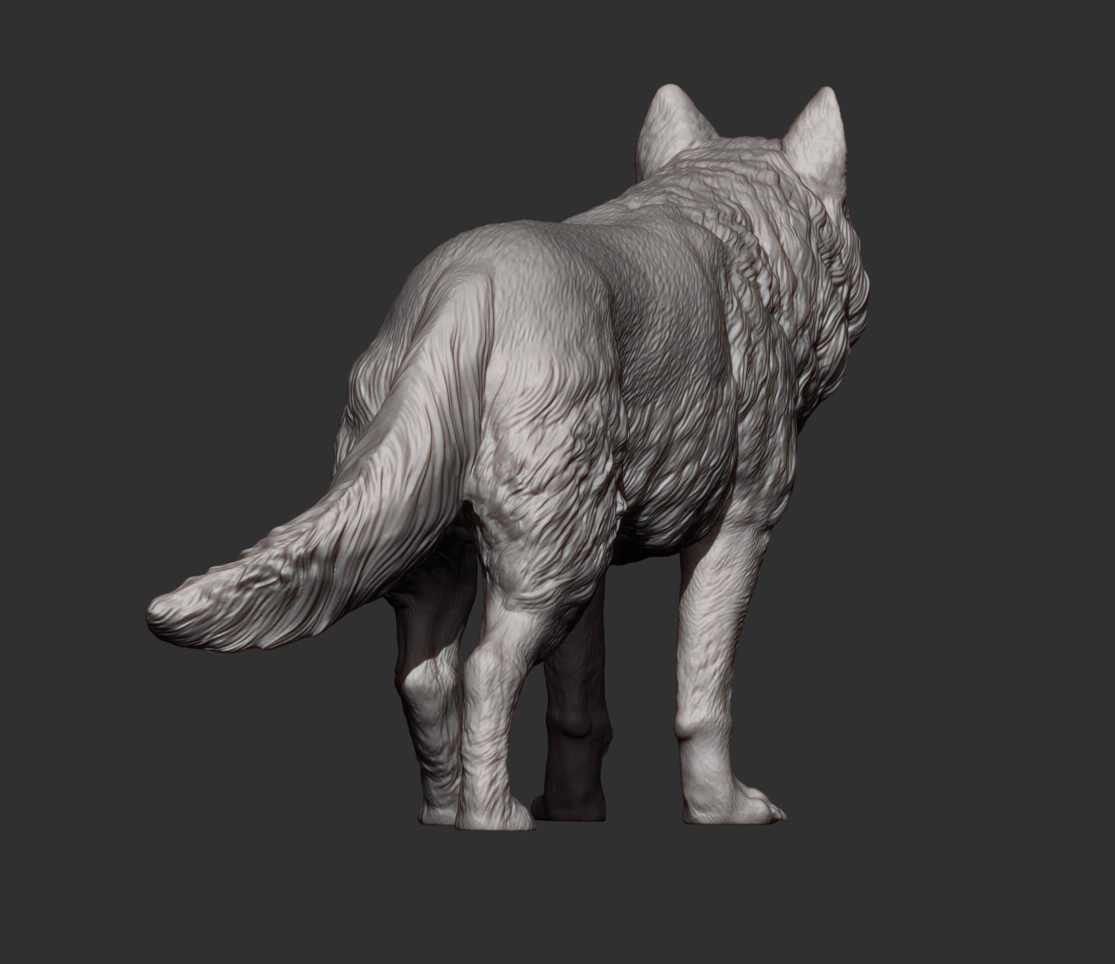 Aggressive Wolf 3D Print Model by Alexander3dart