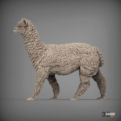Alpaca Is Coming - 3D Model by Alexander3dart