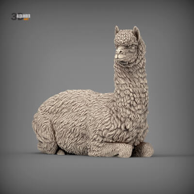 Alpaca Is Lying Down - 3D Model by Alexander3dart