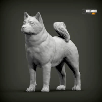 American Akita - 3D Model by Alexander3dart