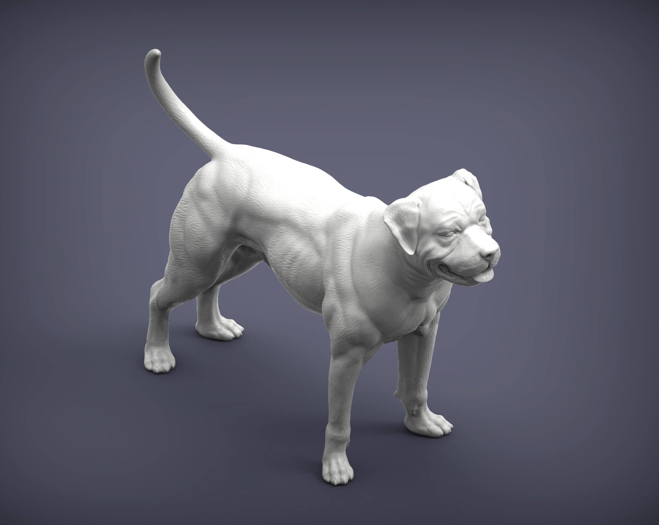 American Bulldog 3D Print Model by Alexander3dart