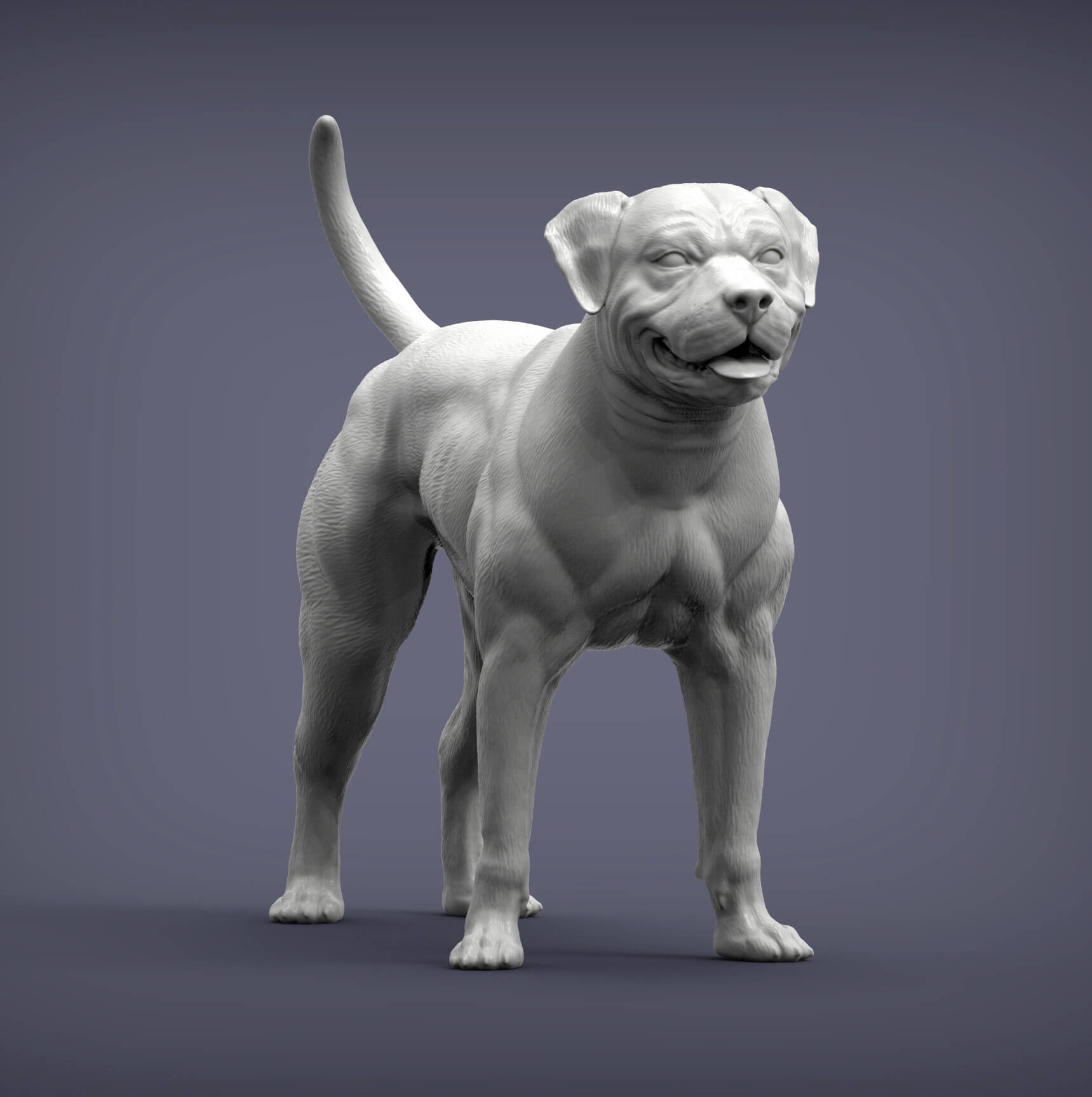 American Bulldog 3D Print Model by Alexander3dart