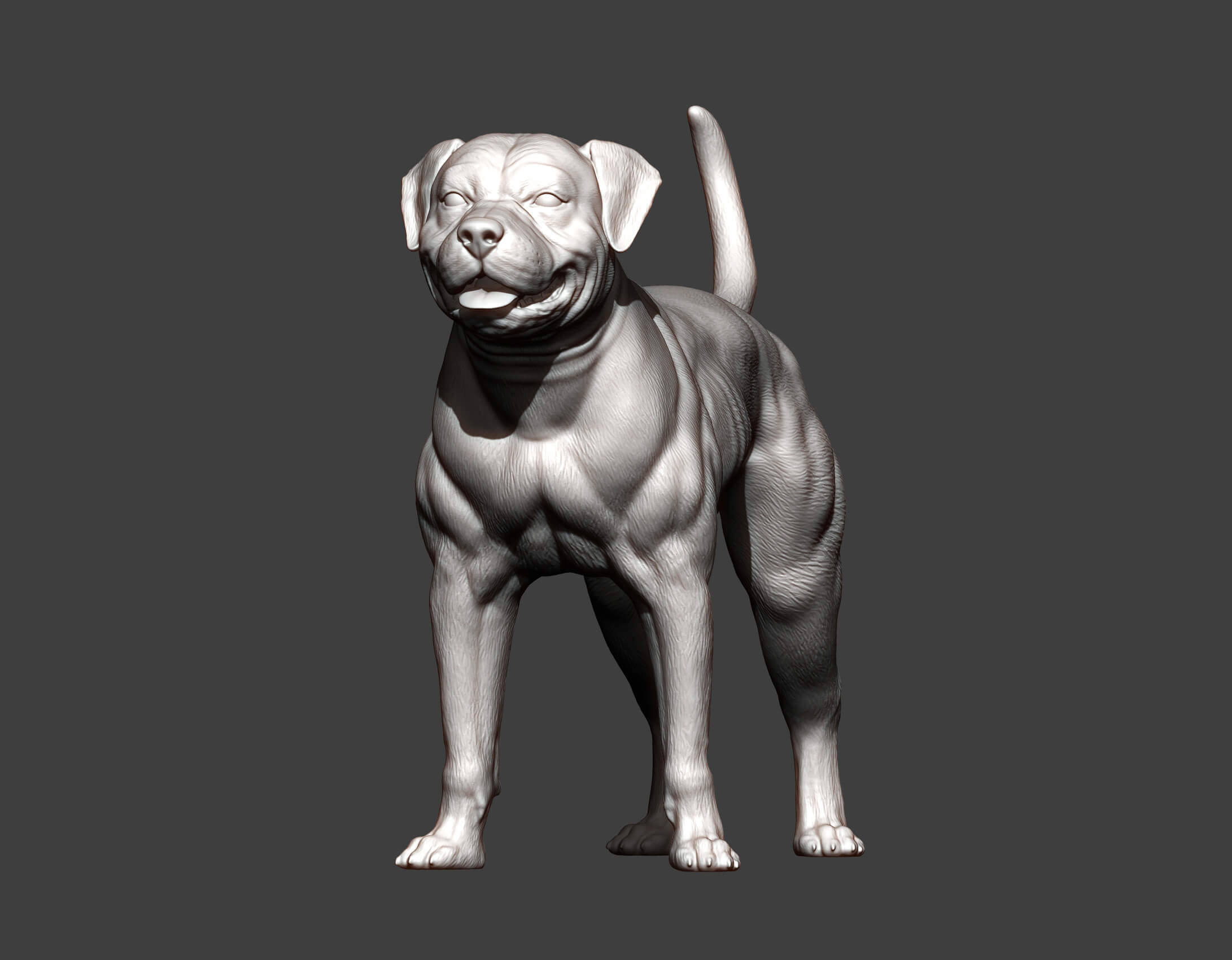 American Bulldog 3D Print Model by Alexander3dart