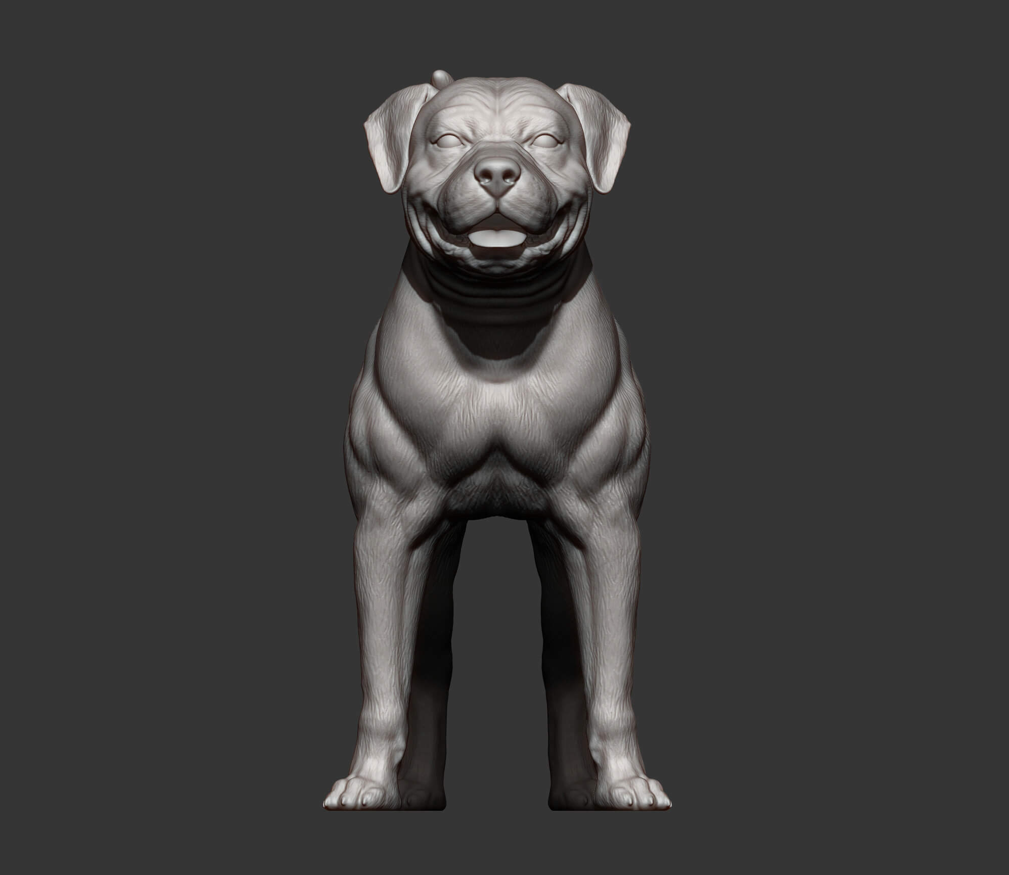 American Bulldog 3D Print Model by Alexander3dart