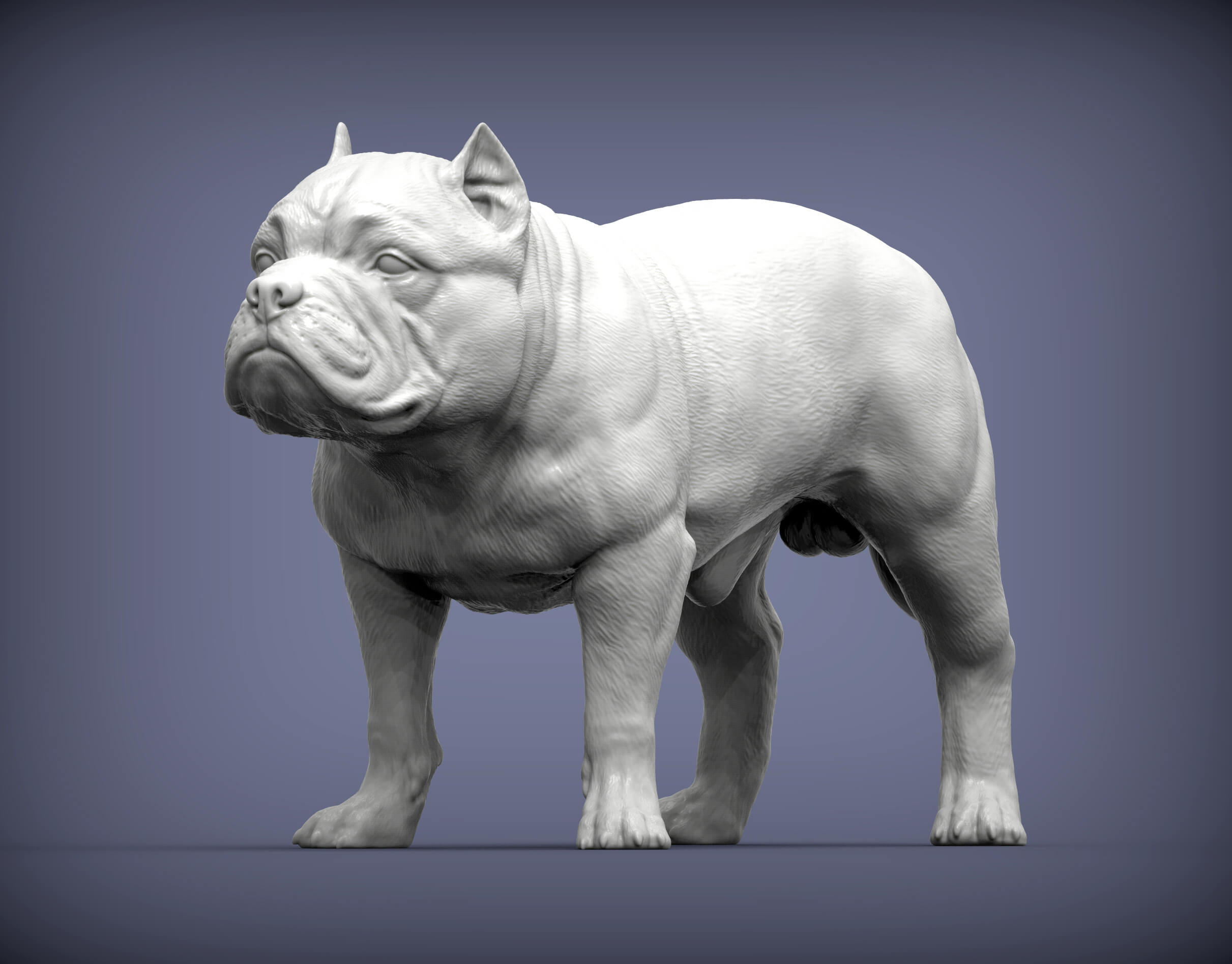 American Bully Standing - 3D Model by Alexander3dart