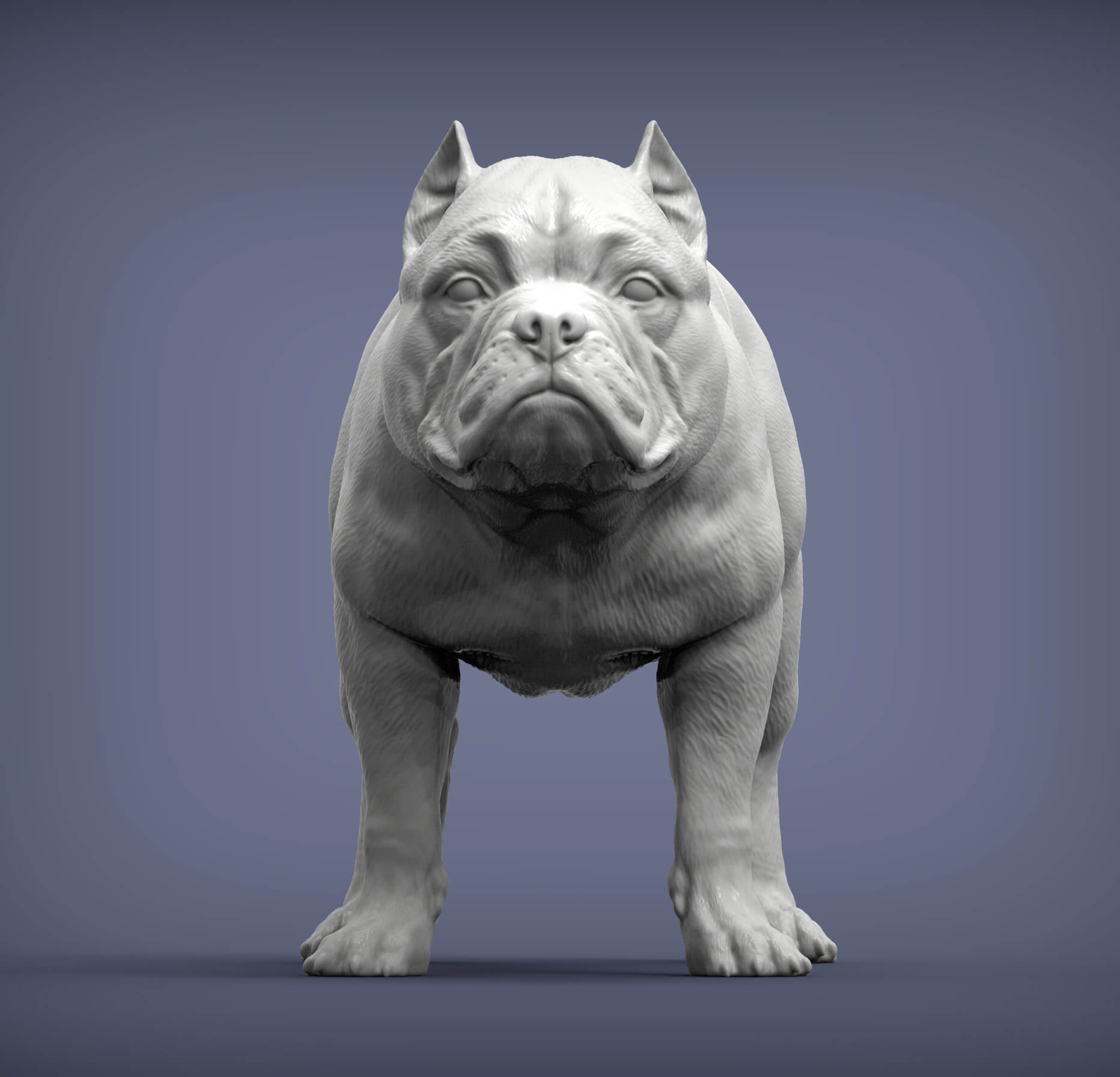 American Bully Standing - 3D Model by Alexander3dart
