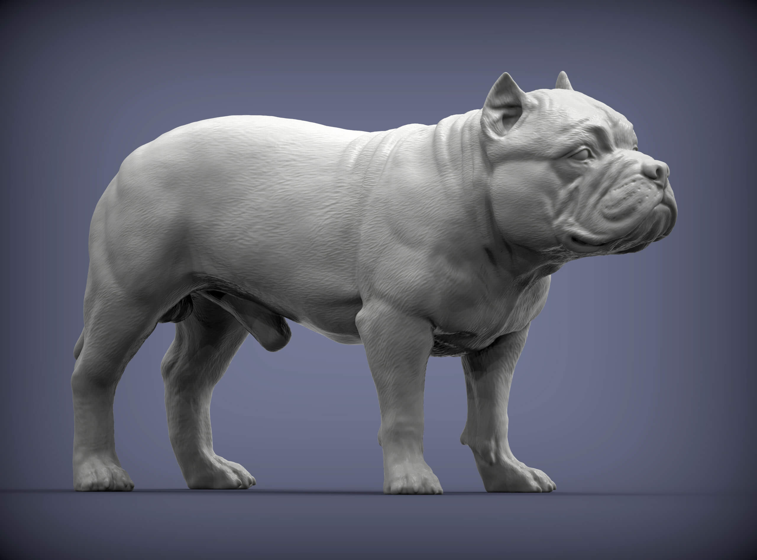 American Bully Standing - 3D Model by Alexander3dart