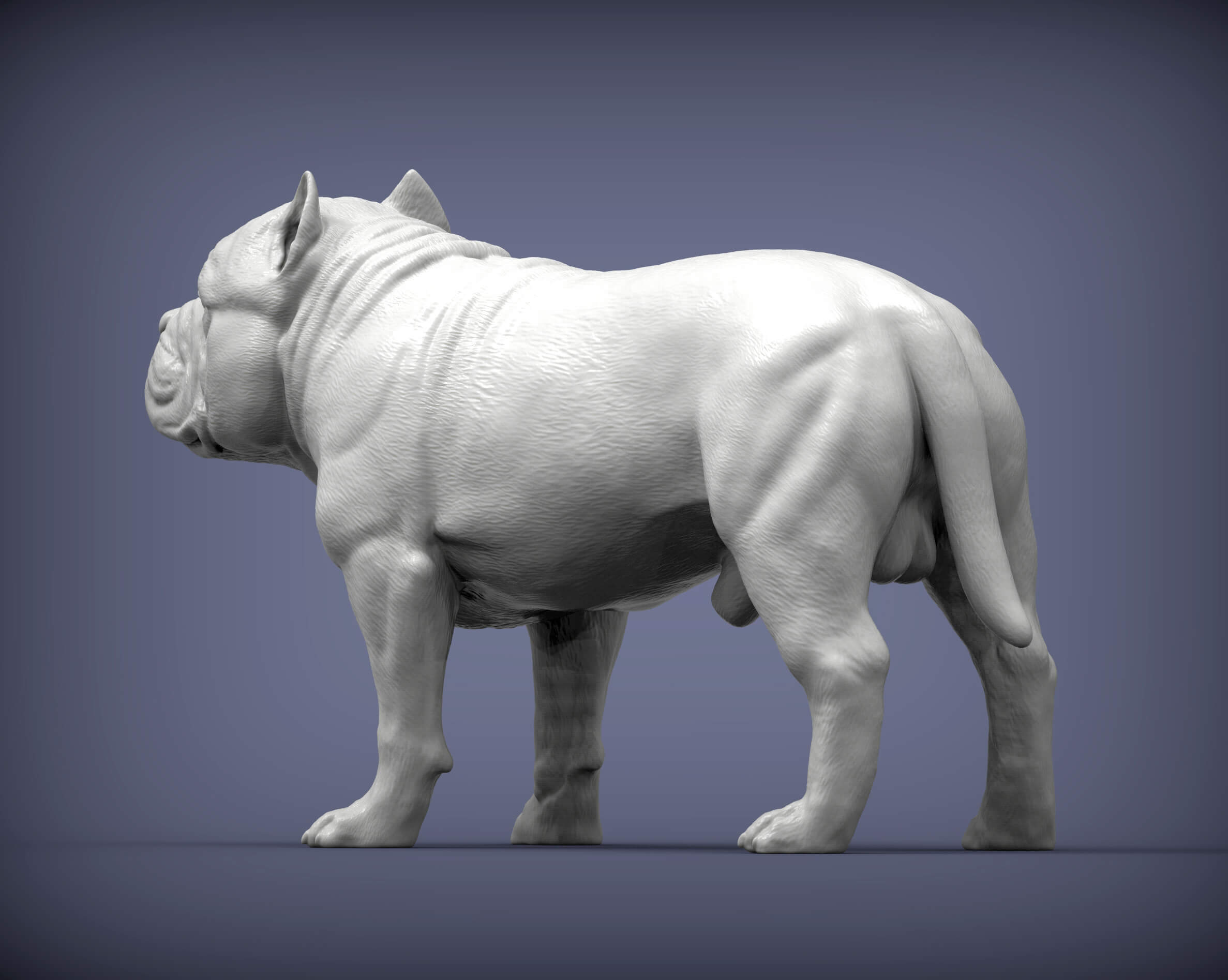 American Bully Standing - 3D Model by Alexander3dart