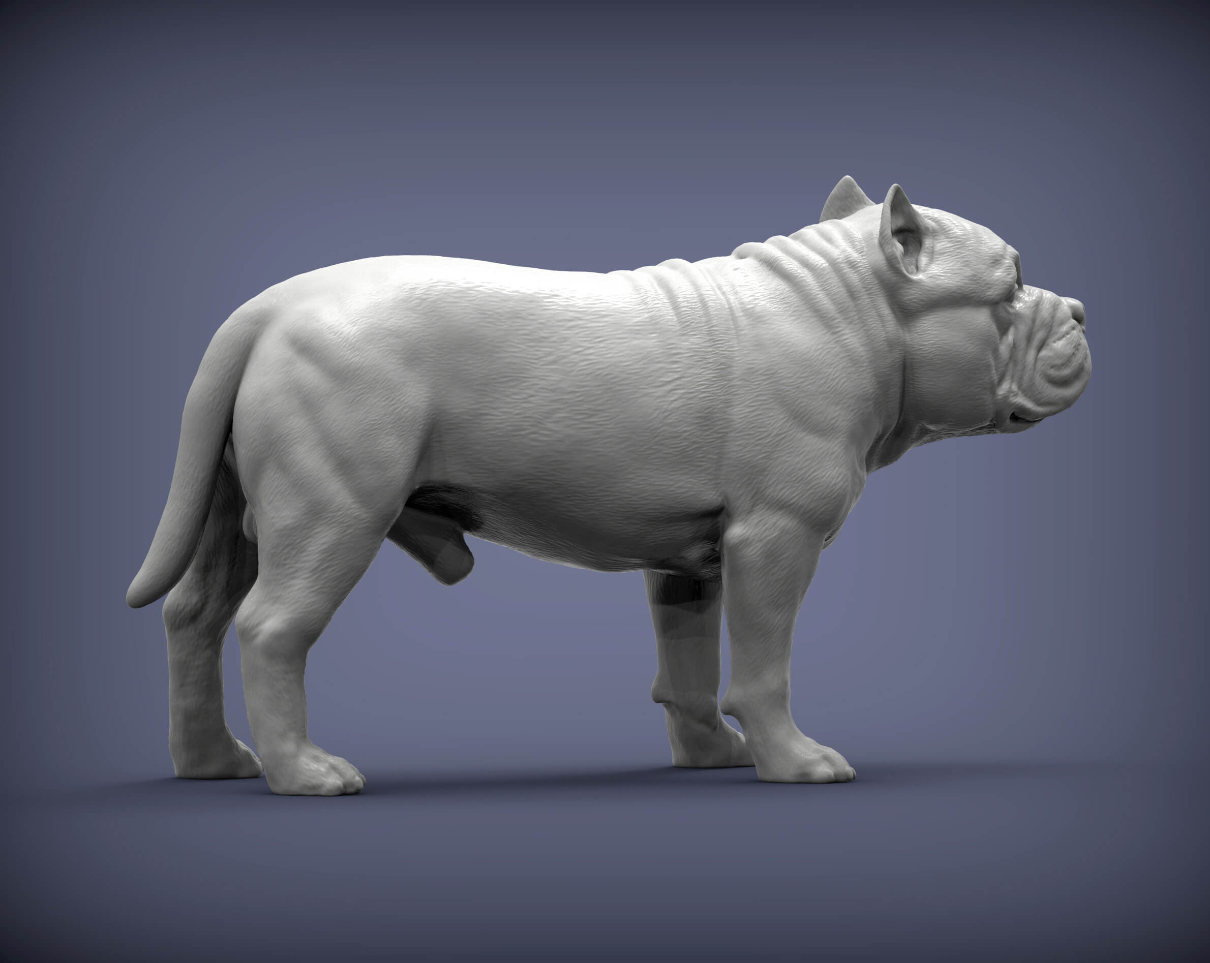 American Bully Standing - 3D Model by Alexander3dart