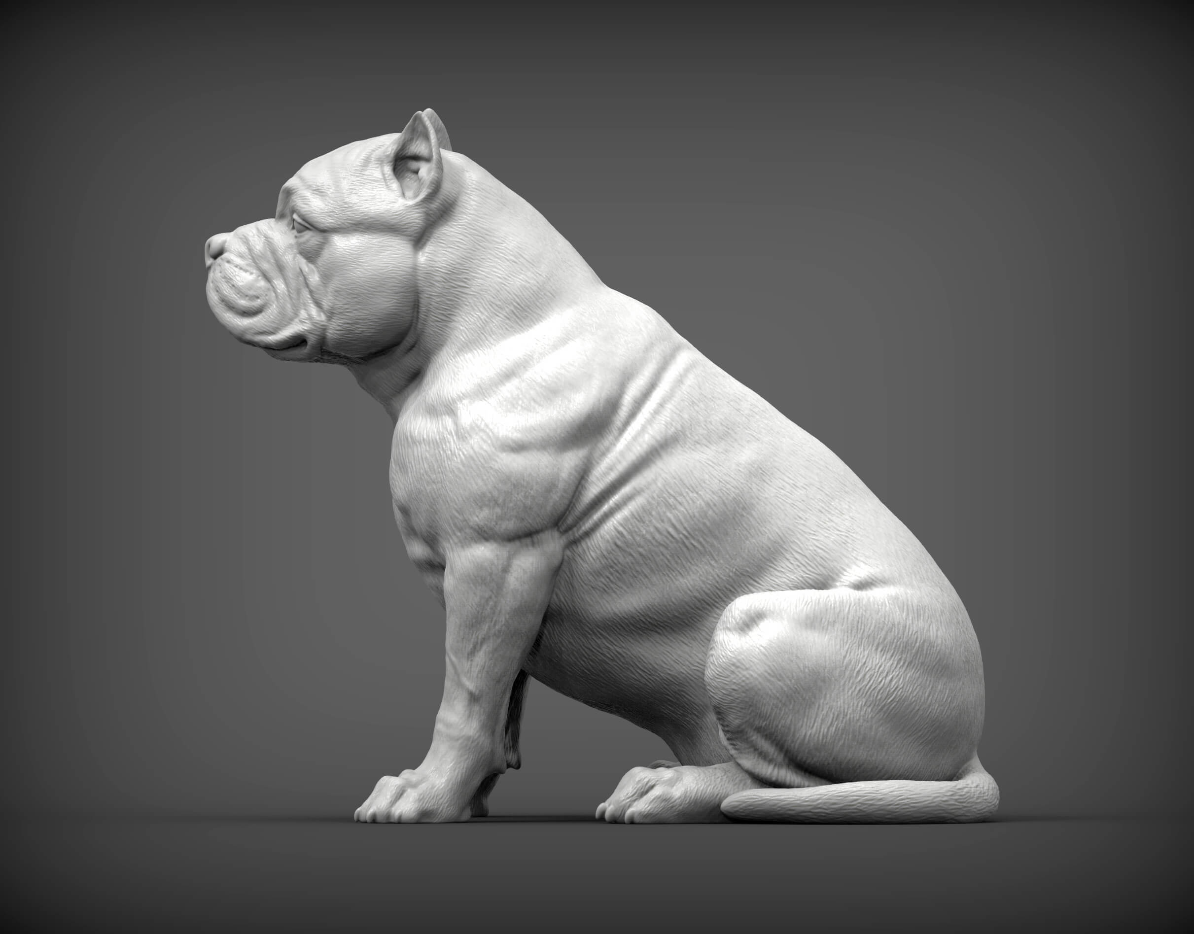 American Bully 3D Print Model by Alexander3dart