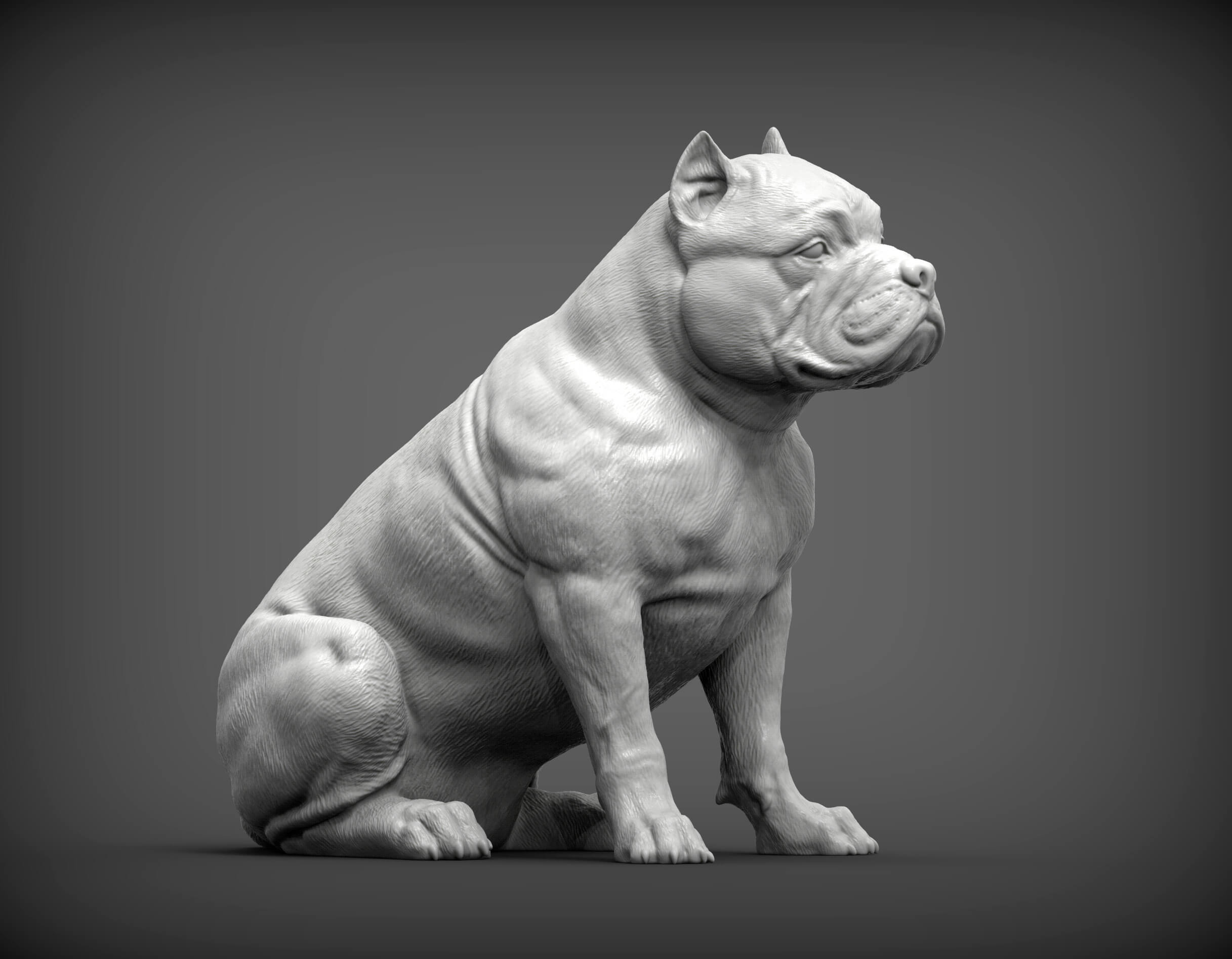 American Bully 3D Print Model by Alexander3dart