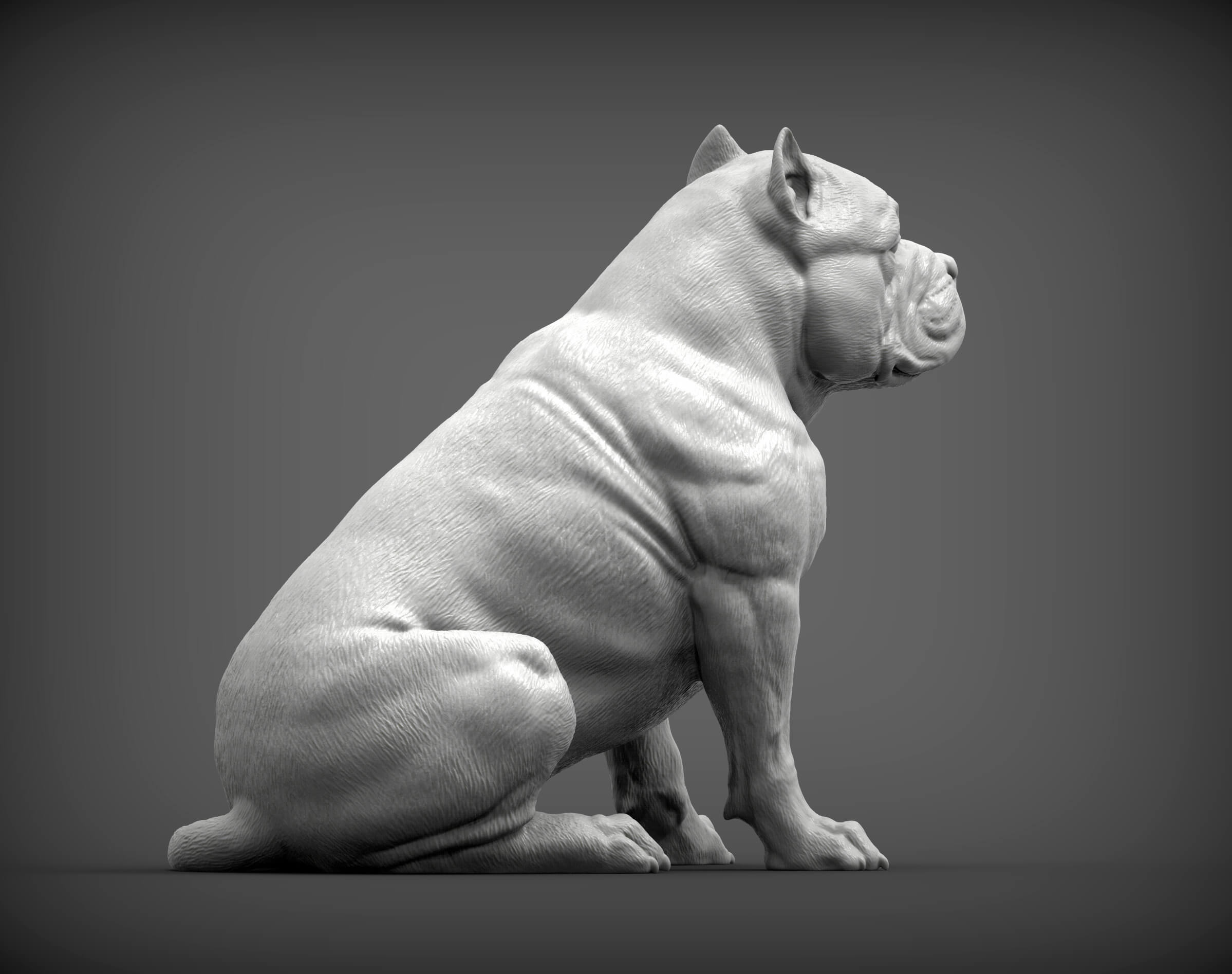 American Bully 3D Print Model by Alexander3dart