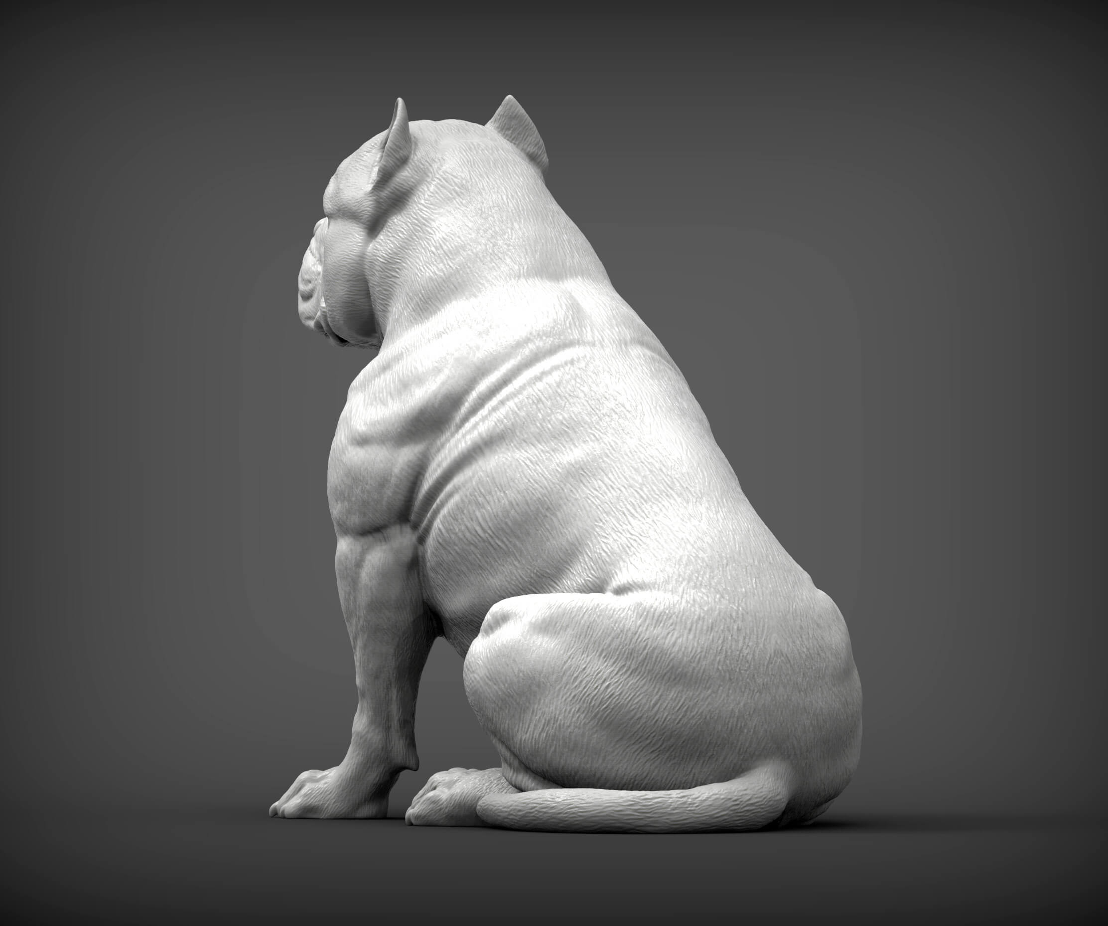 American Bully 3D Print Model by Alexander3dart