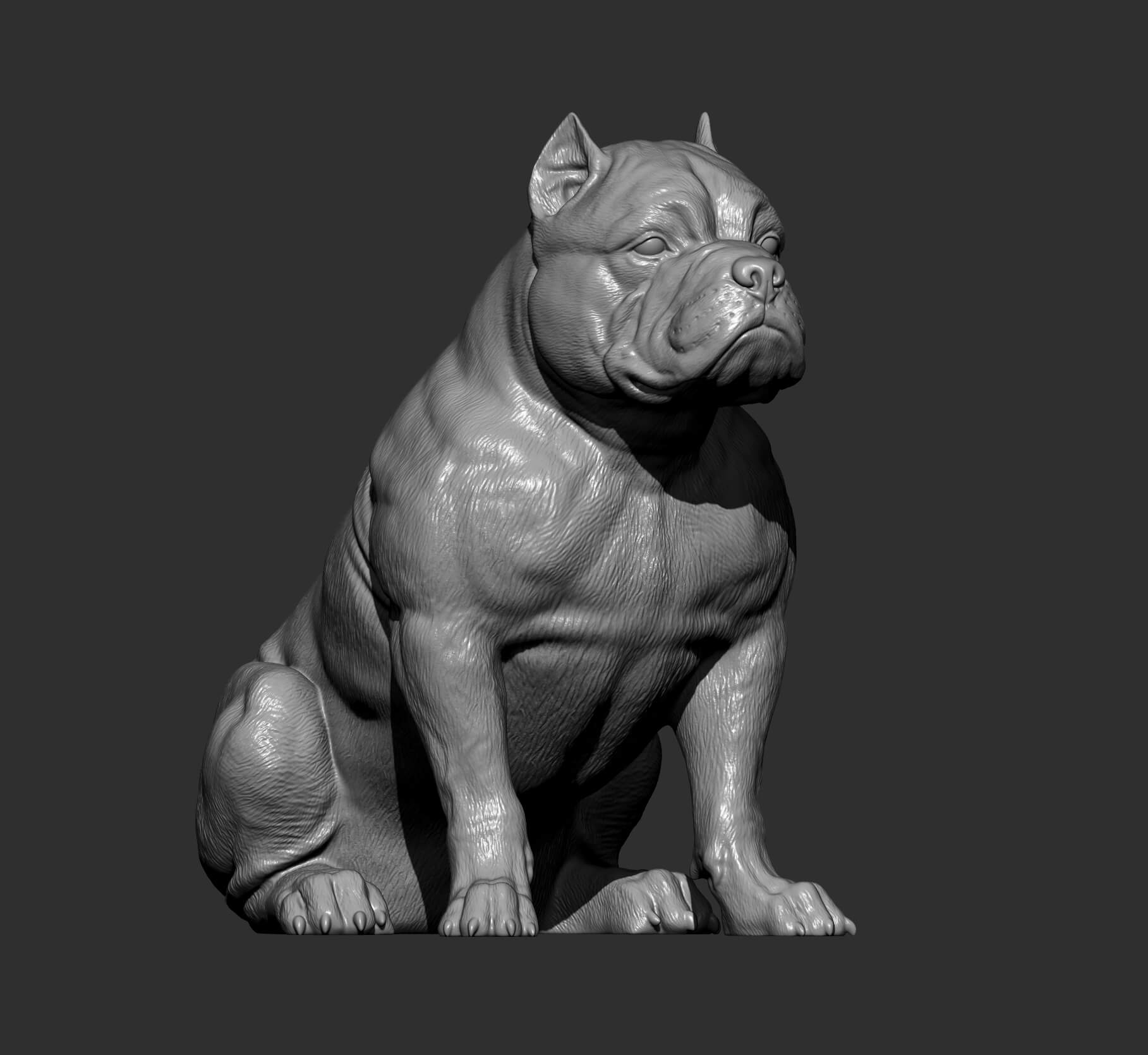 American Bully 3D Print Model by Alexander3dart