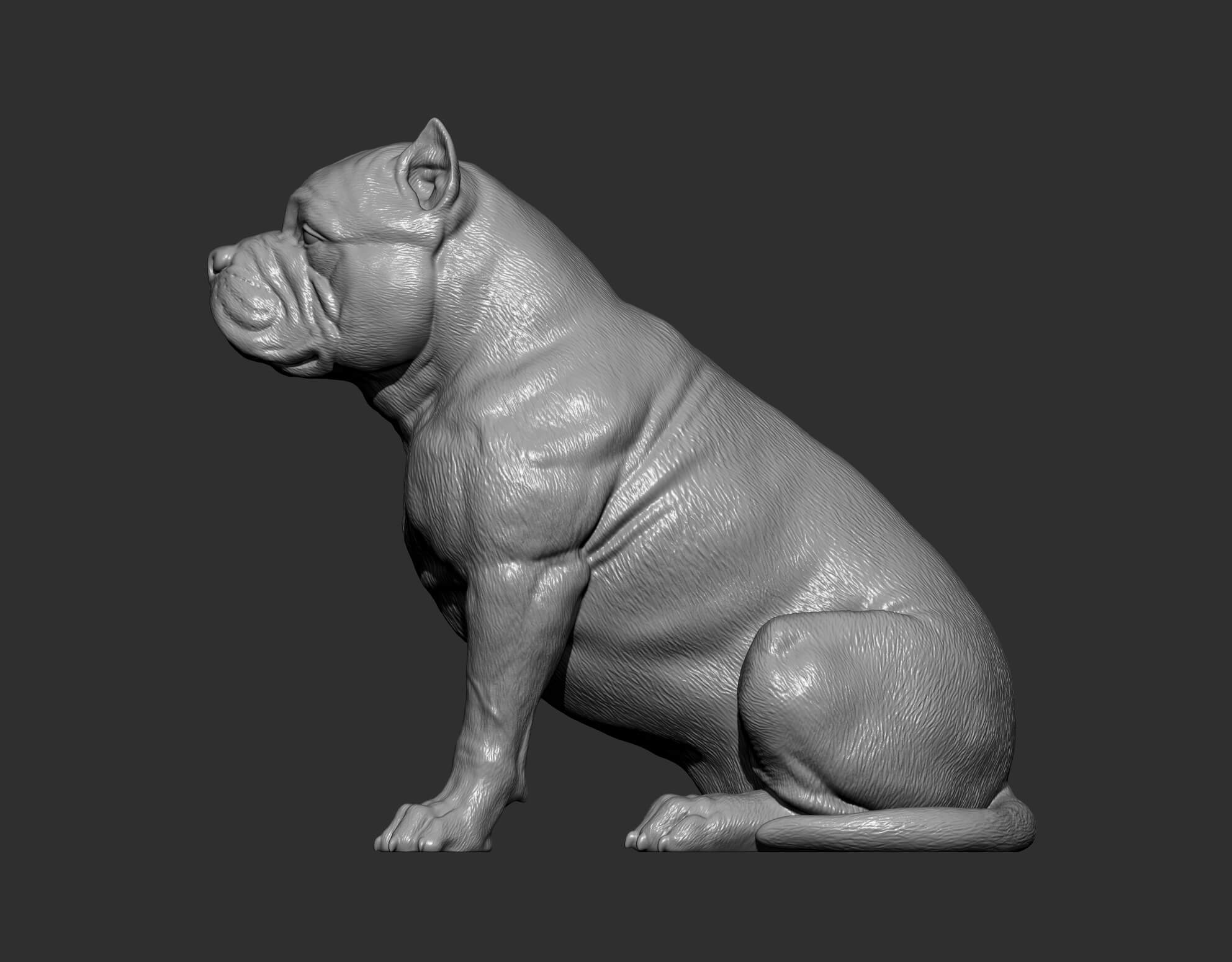 American Bully 3D Print Model by Alexander3dart