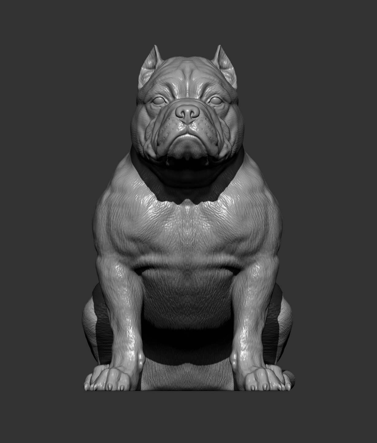 American Bully 3D Print Model by Alexander3dart