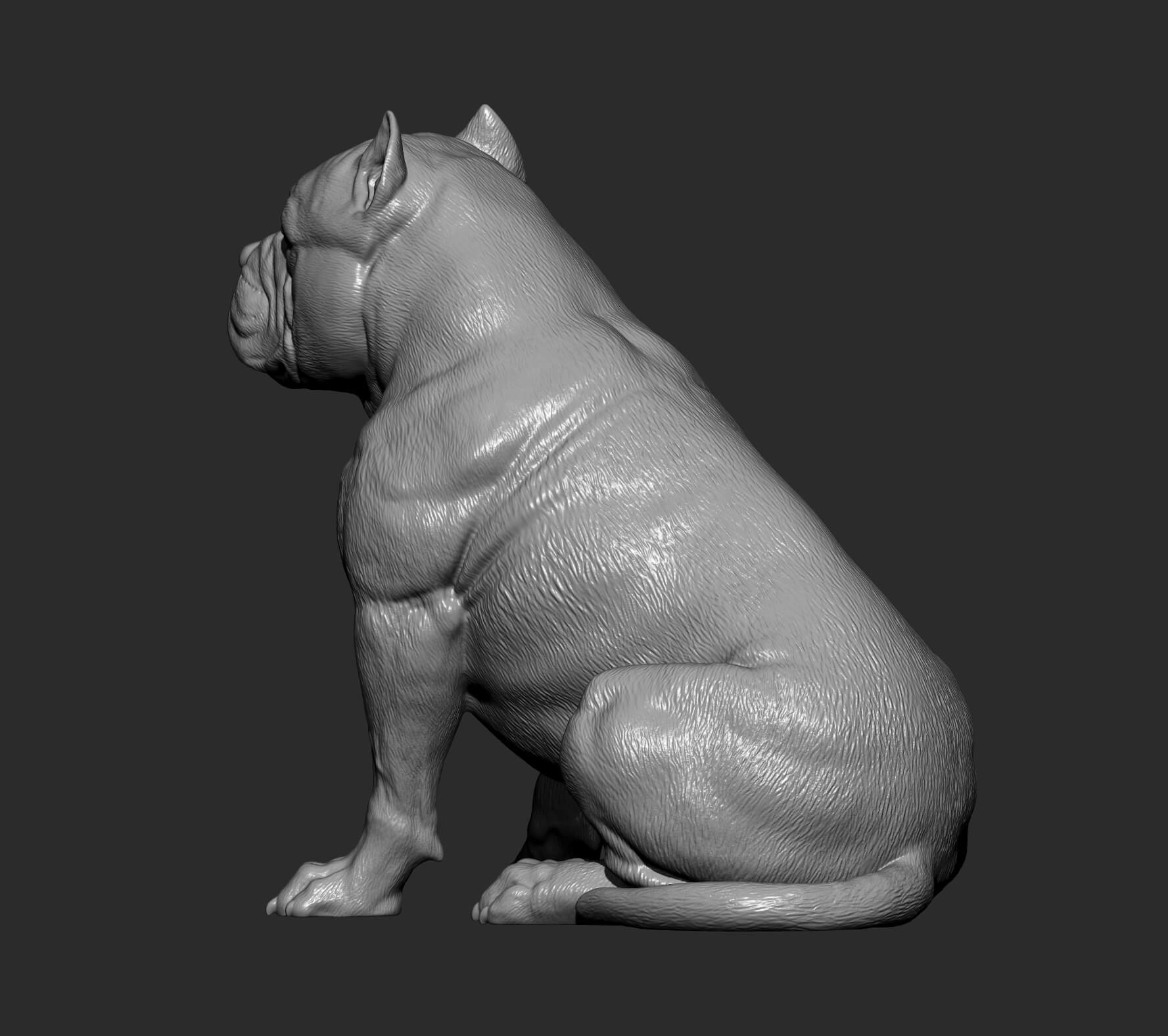 American Bully 3D Print Model by Alexander3dart