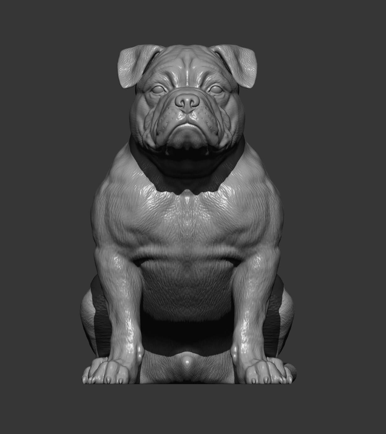 American Bully 3D Print Model by Alexander3dart