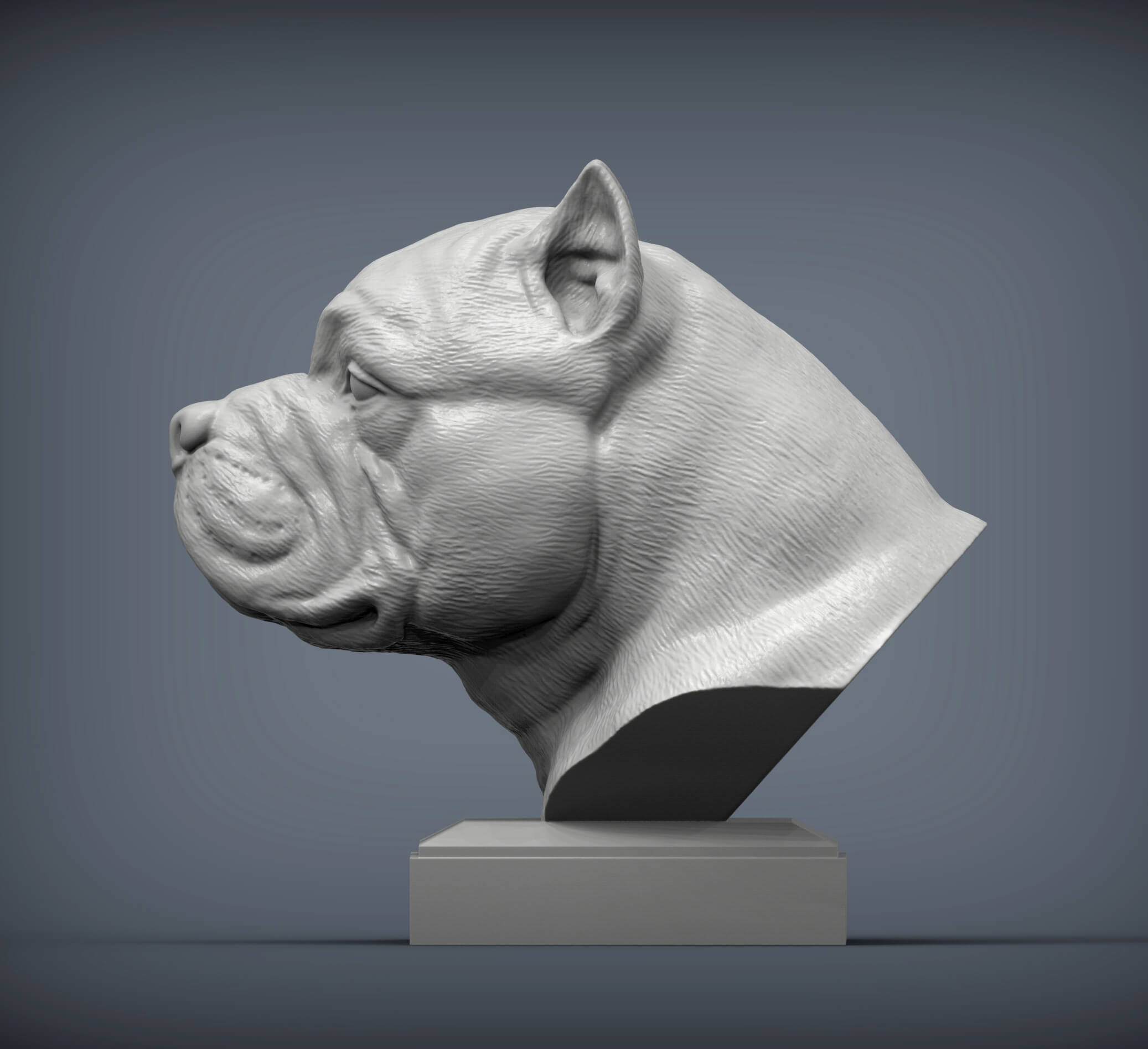 American Bully Bust 3D Print Model by Alexander3dart