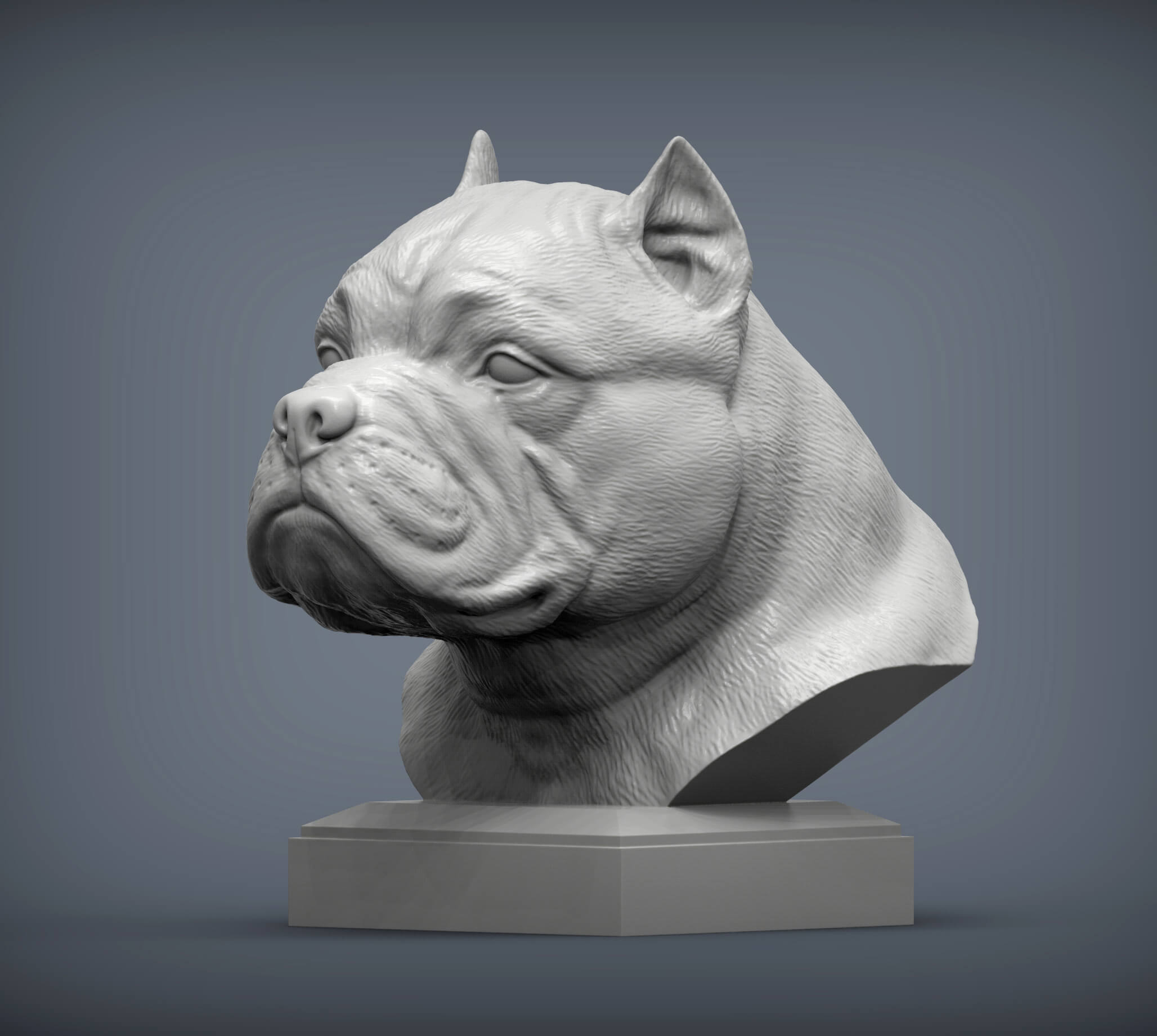 American Bully Bust 3D Print Model by Alexander3dart