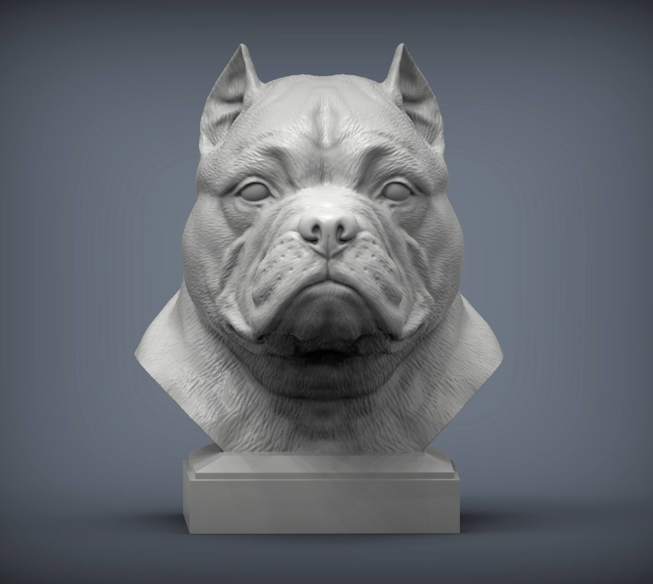 American Bully Bust 3D Print Model by Alexander3dart