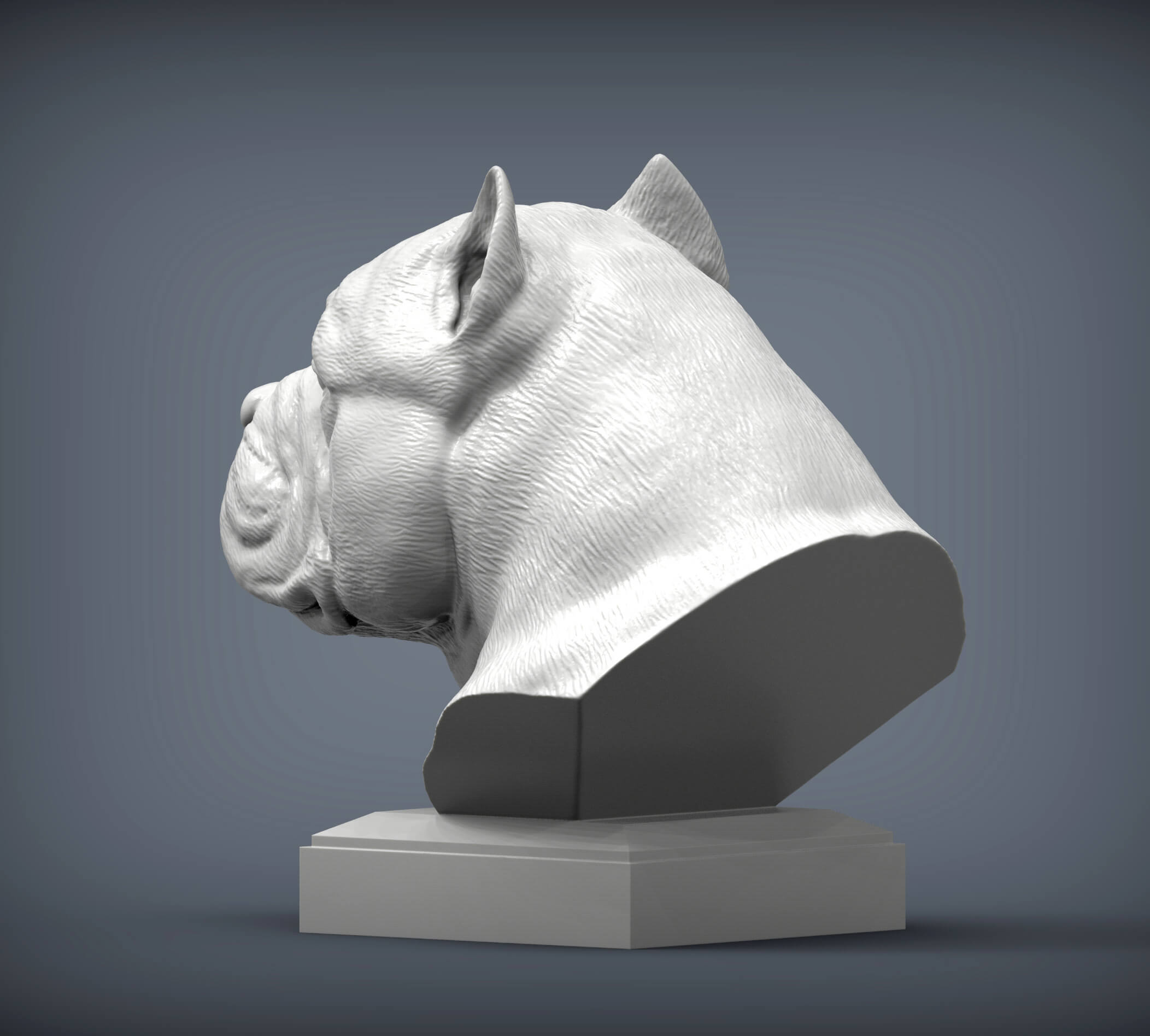 American Bully Bust 3D Print Model by Alexander3dart