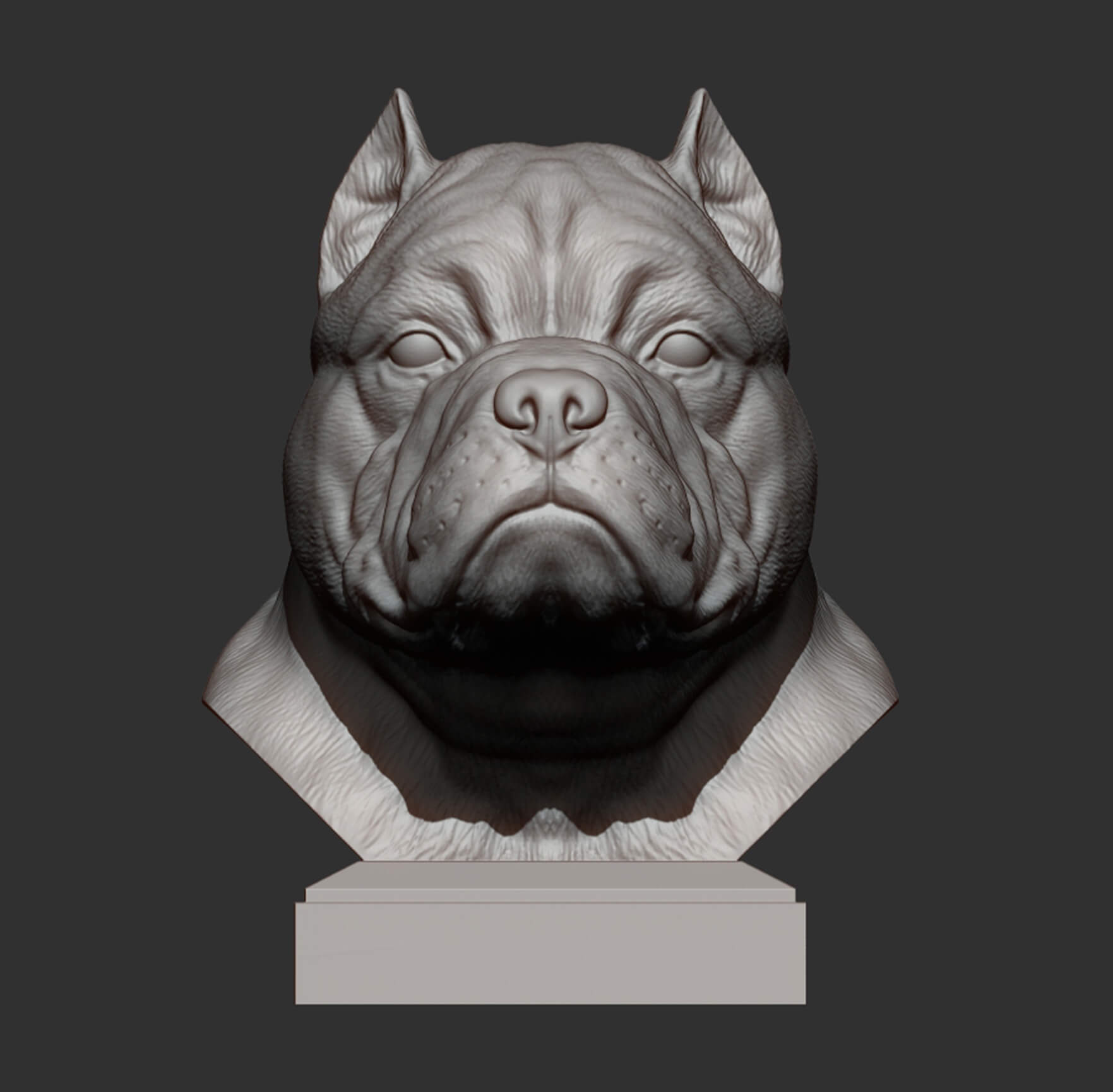 American Bully Bust 3D Print Model by Alexander3dart