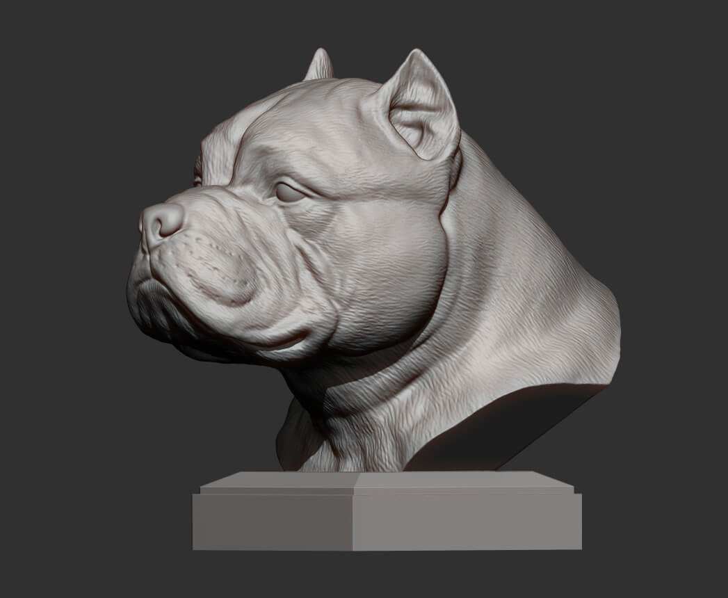 American Bully Bust 3D Print Model by Alexander3dart