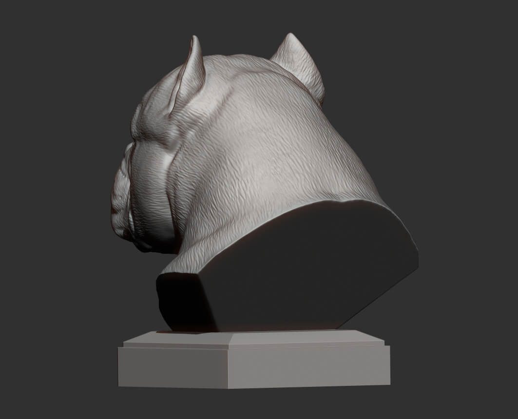 American Bully Bust 3D Print Model by Alexander3dart