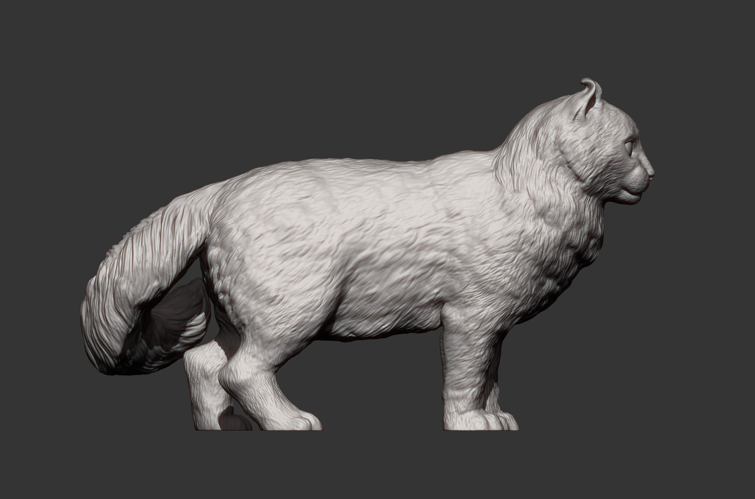 American Curl Cat 3D Print Model by Alexander3dart