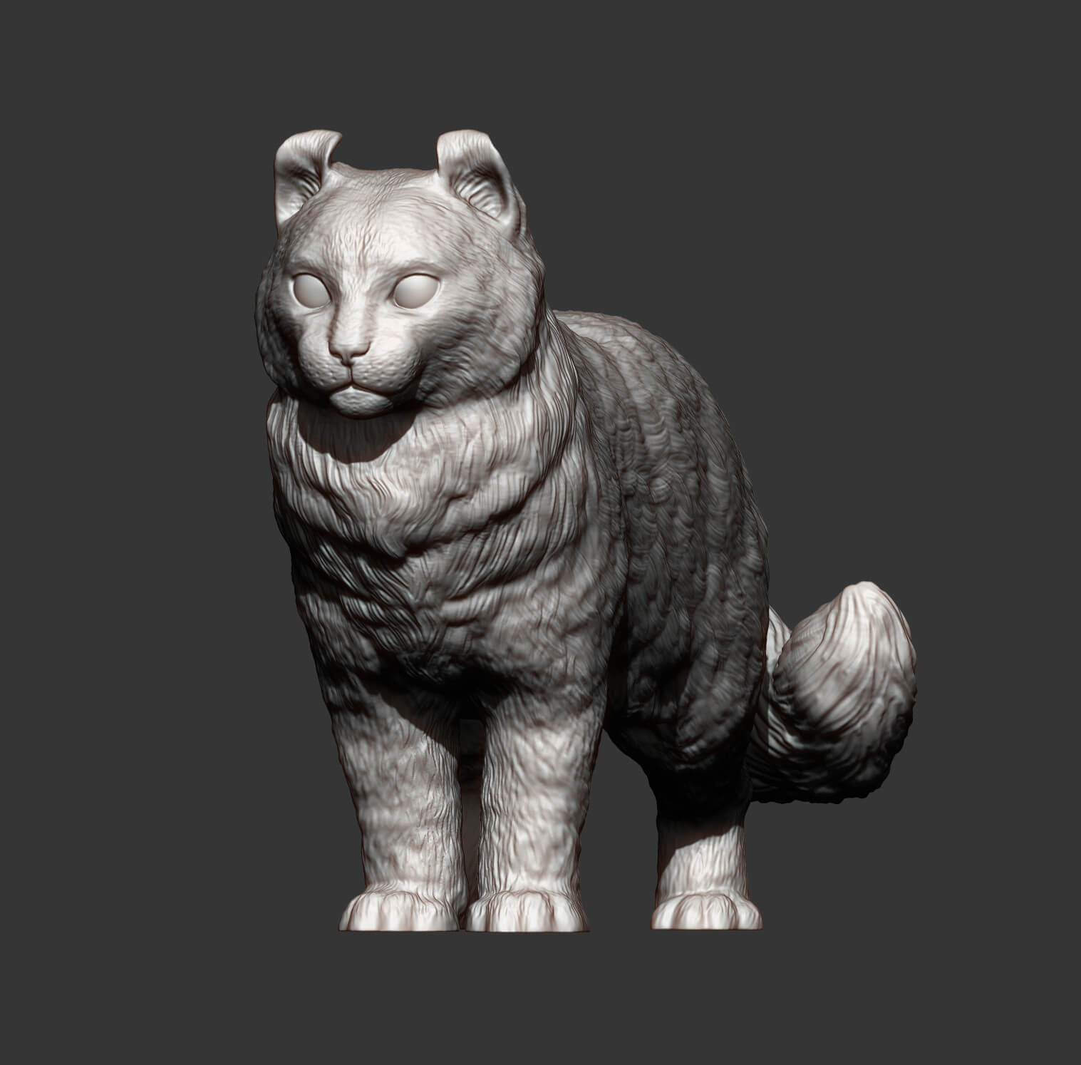 American Curl Cat 3D Print Model by Alexander3dart