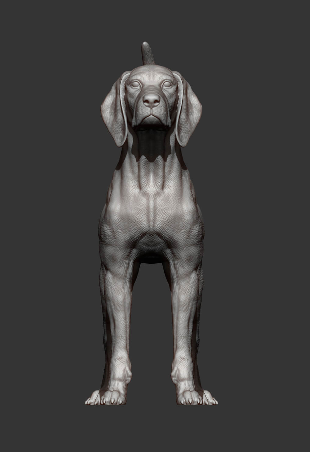 American English Coonhound 3D Print Model by Alexander3dart