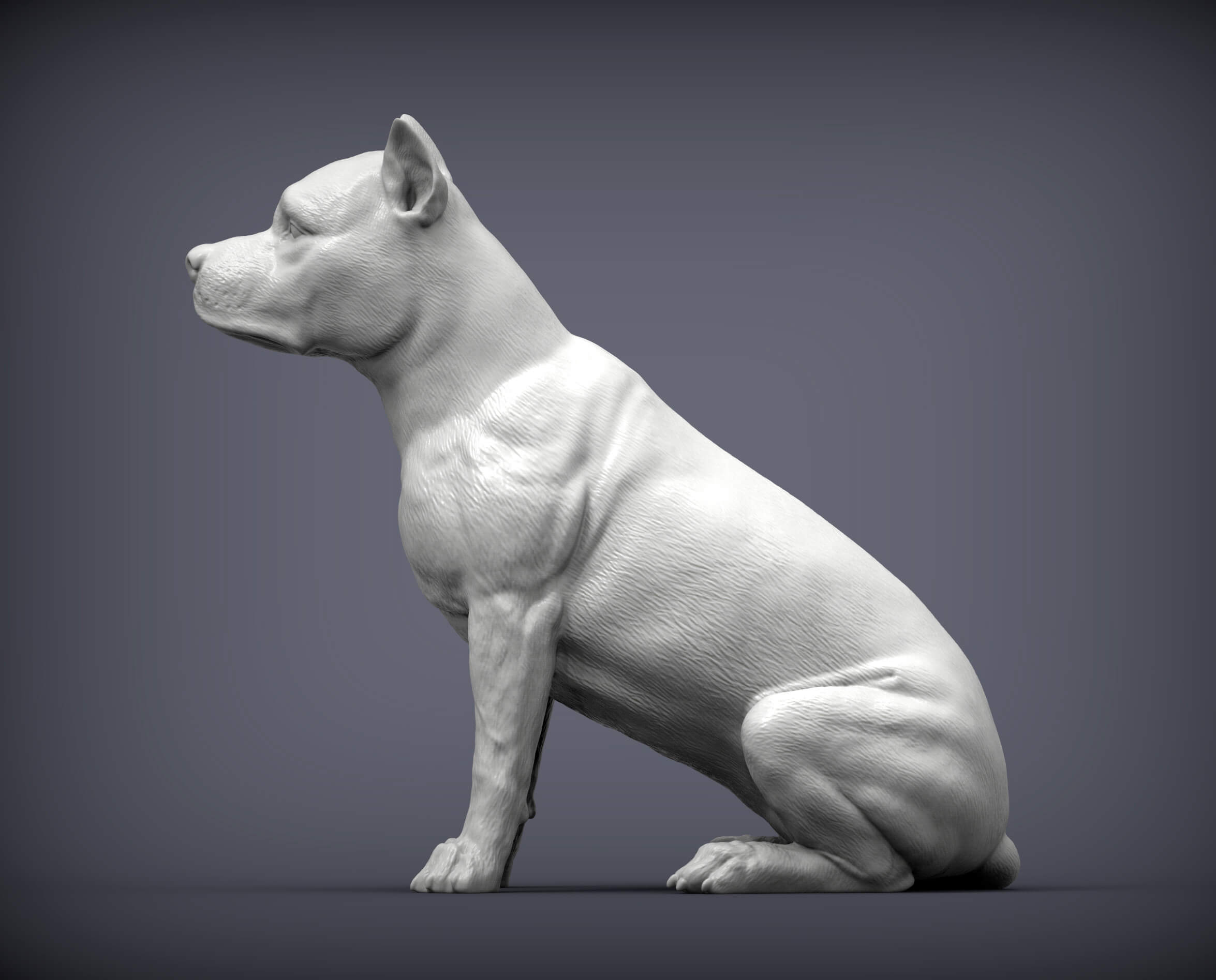 American Staffordshire Terrier 3D Print Model by Alexander3dart