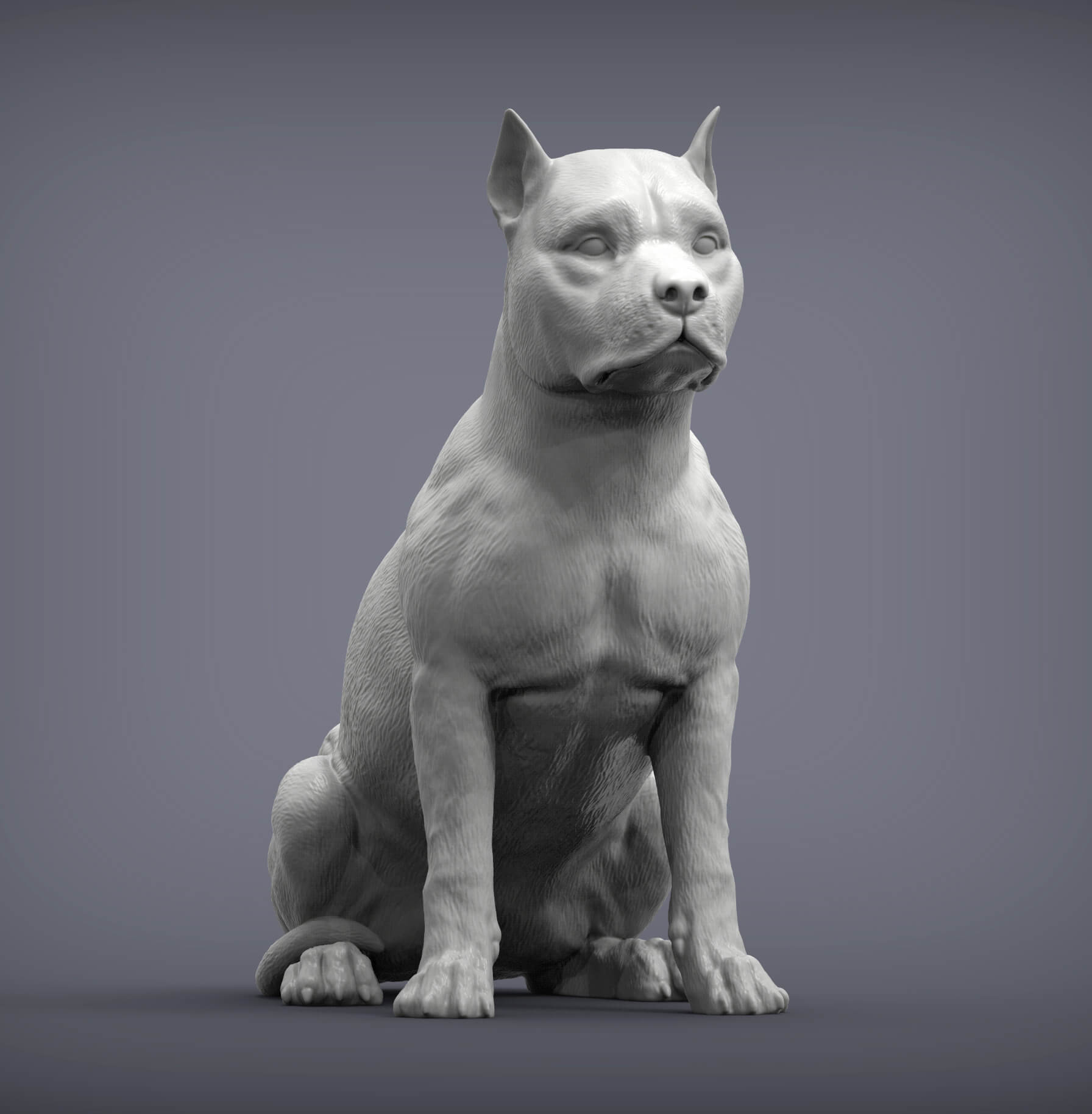 American Staffordshire Terrier 3D Print Model by Alexander3dart