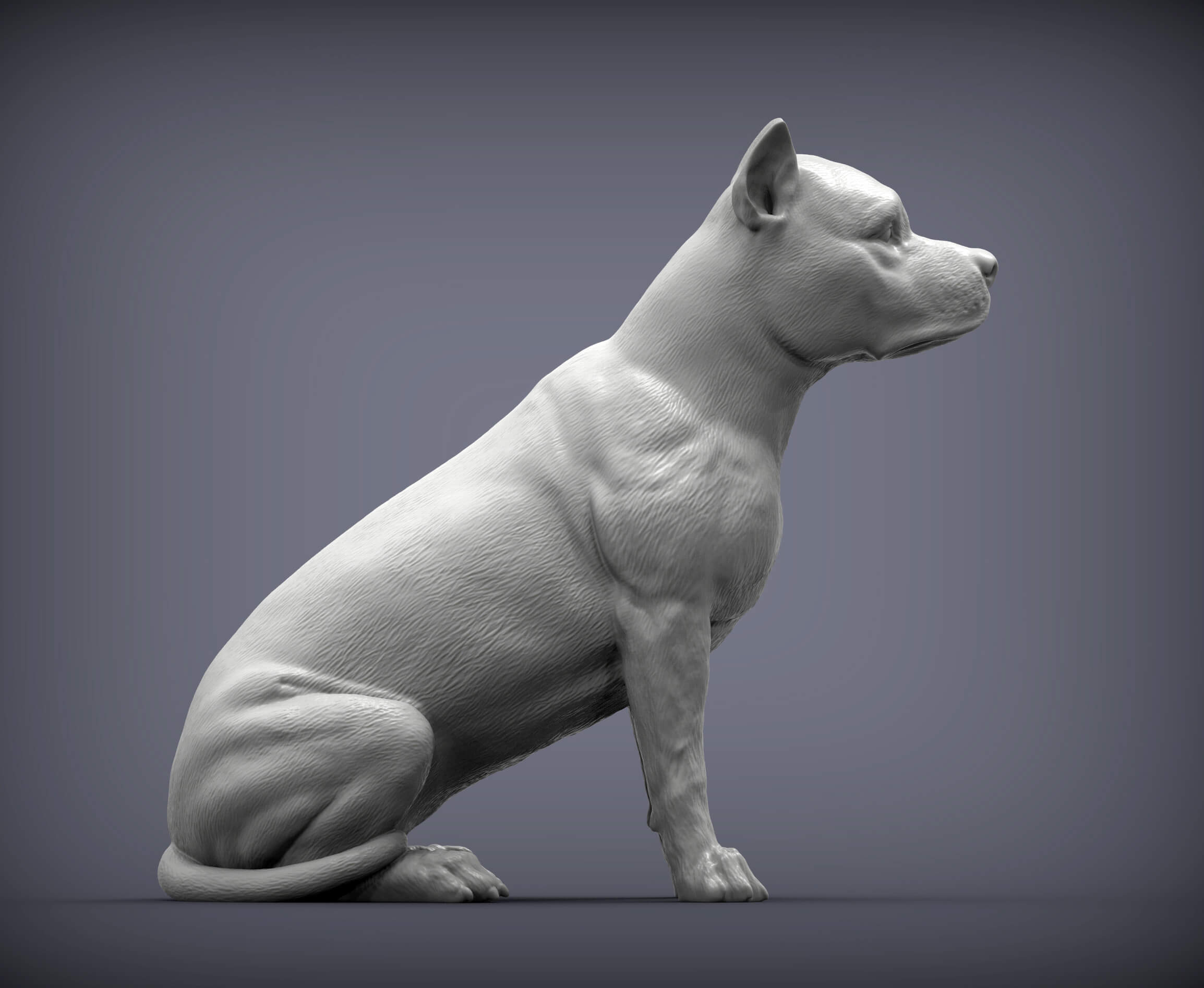 American Staffordshire Terrier 3D Print Model by Alexander3dart