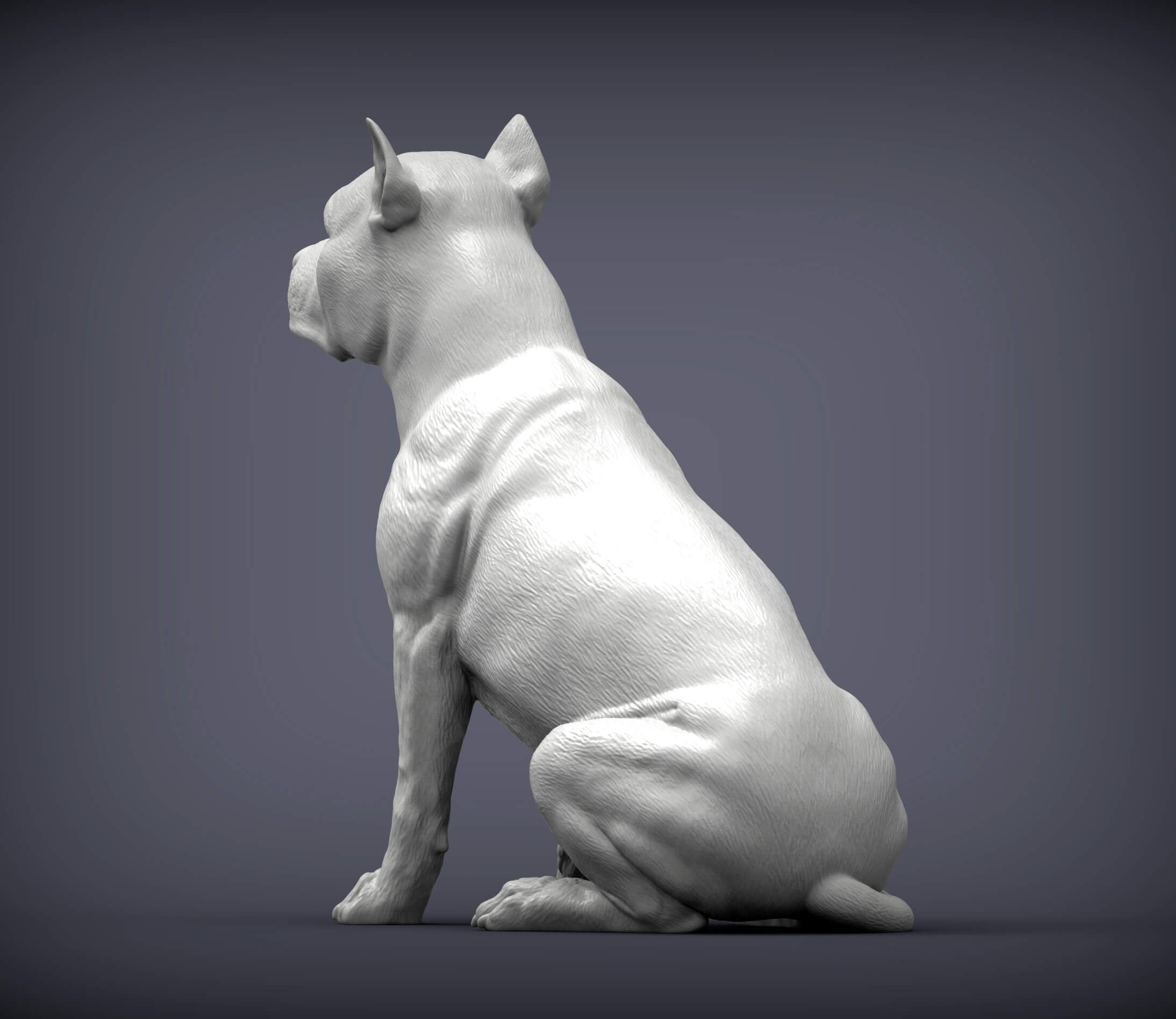 American Staffordshire Terrier 3D Print Model by Alexander3dart