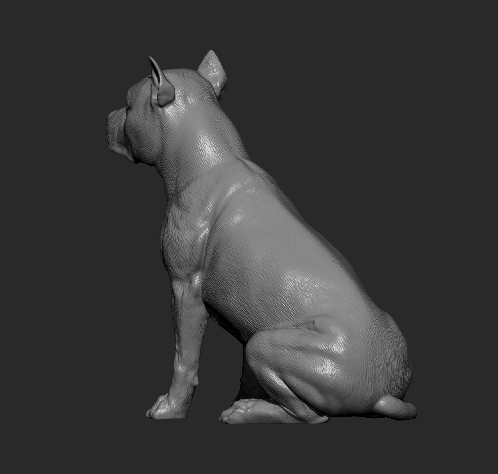 American Staffordshire Terrier 3D Print Model by Alexander3dart