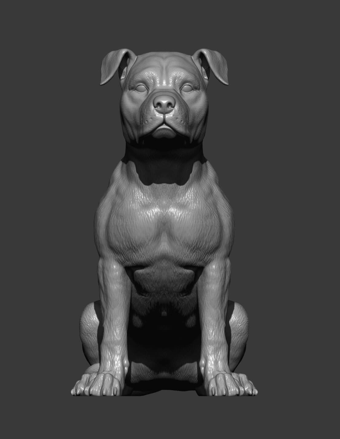 American Staffordshire Terrier 3D Print Model by Alexander3dart