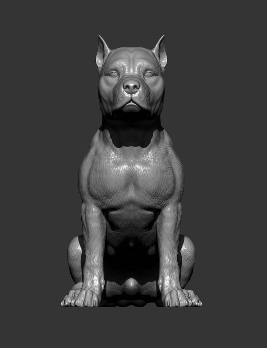 American Staffordshire Terrier 3D Print Model by Alexander3dart