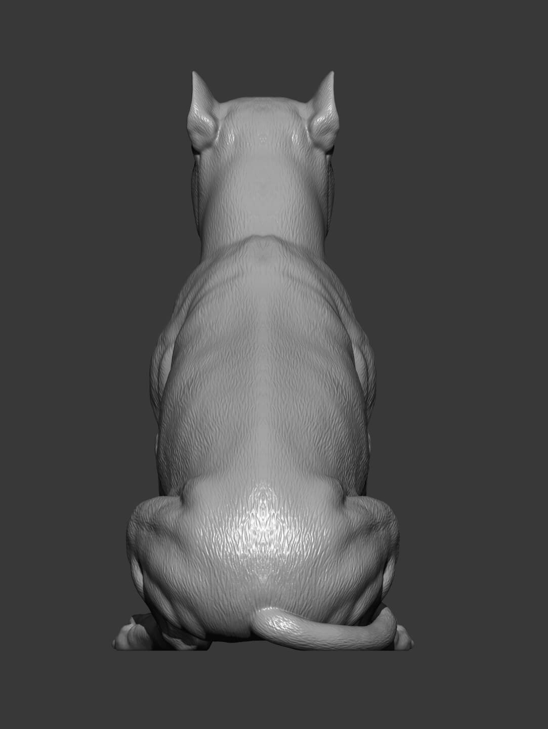 American Staffordshire Terrier 3D Print Model by Alexander3dart