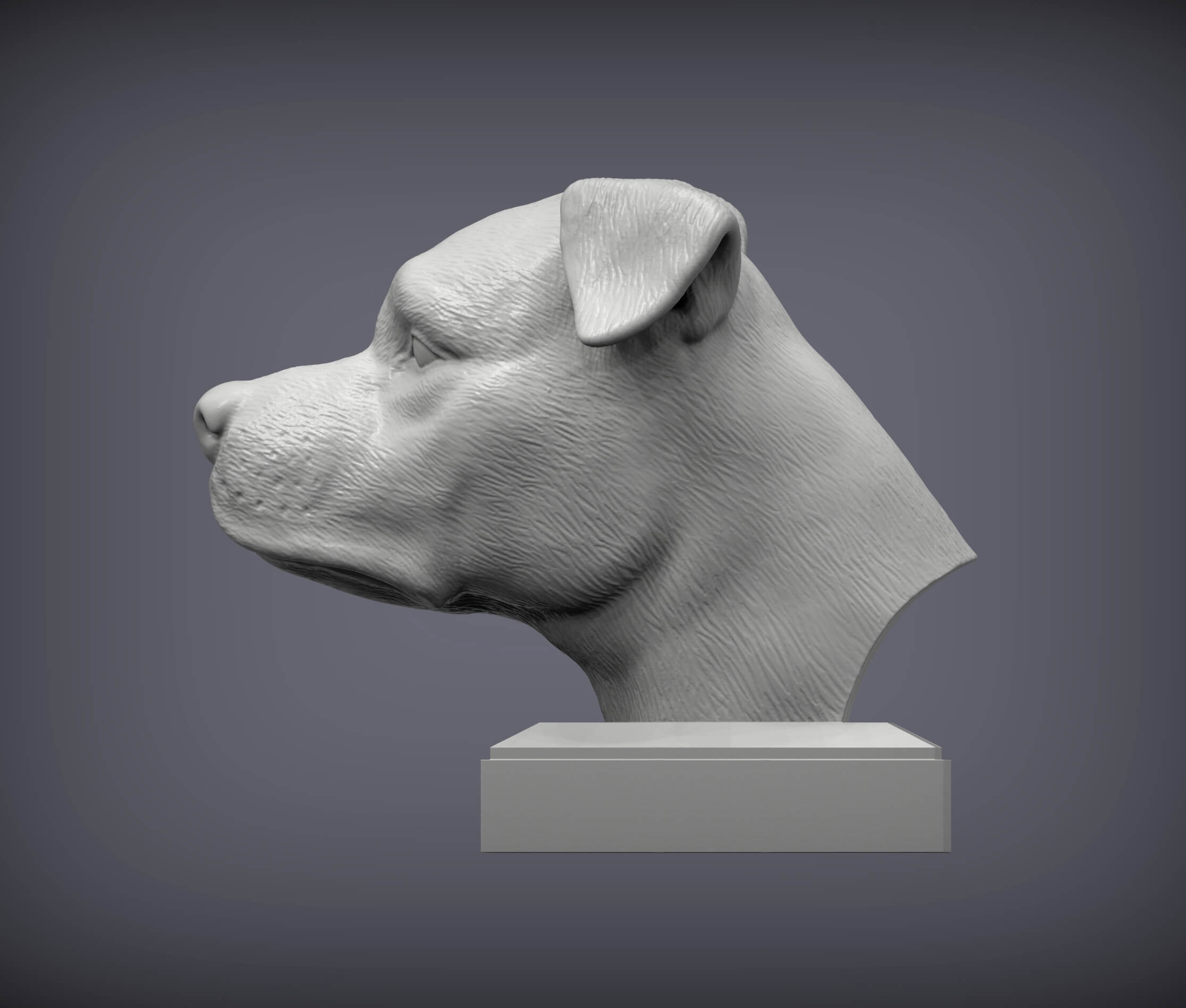 American Staffordshire Terrier Bust 3D Print Model by Alexander3dart