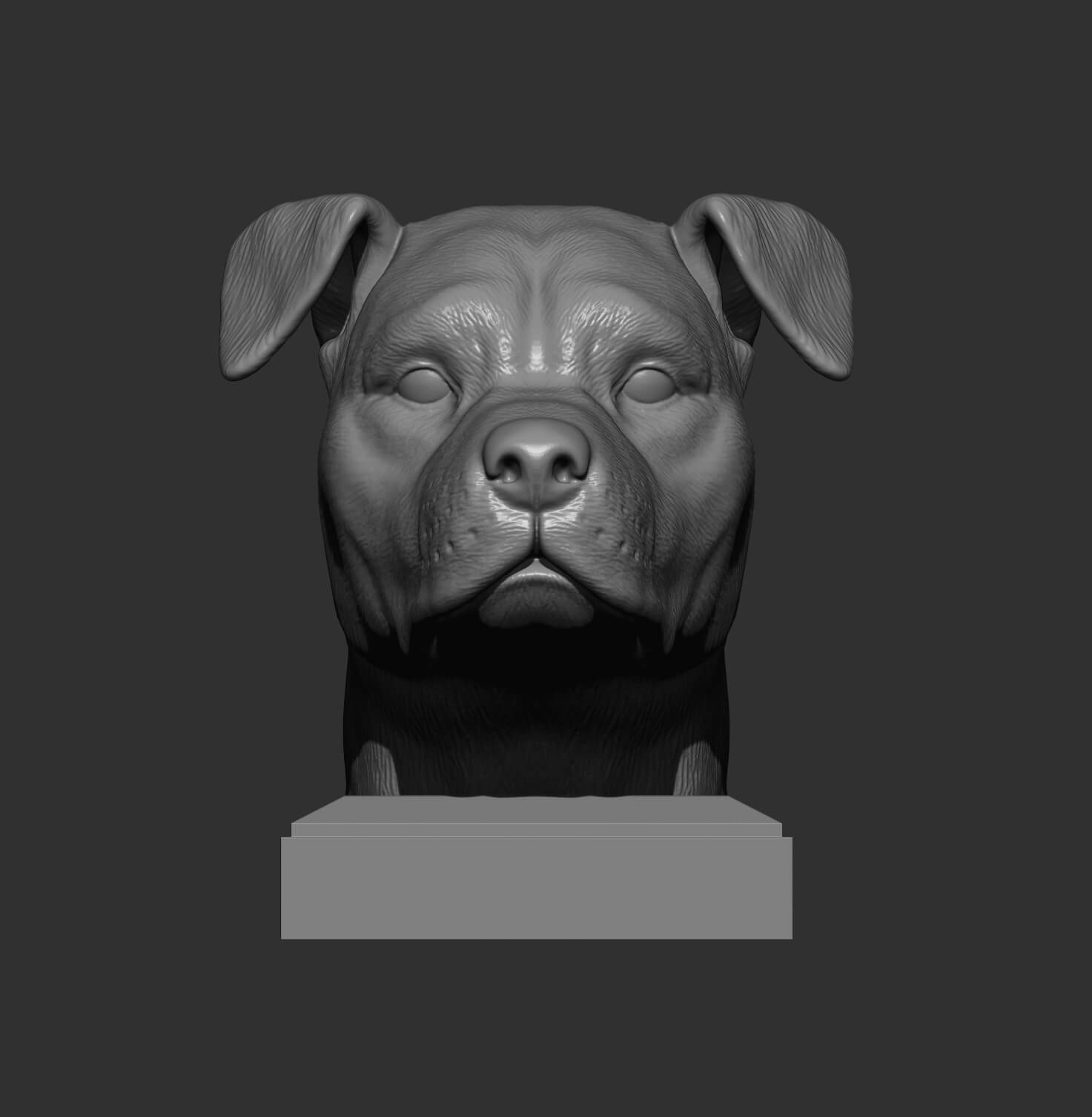 American Staffordshire Terrier Bust 3D Print Model by Alexander3dart