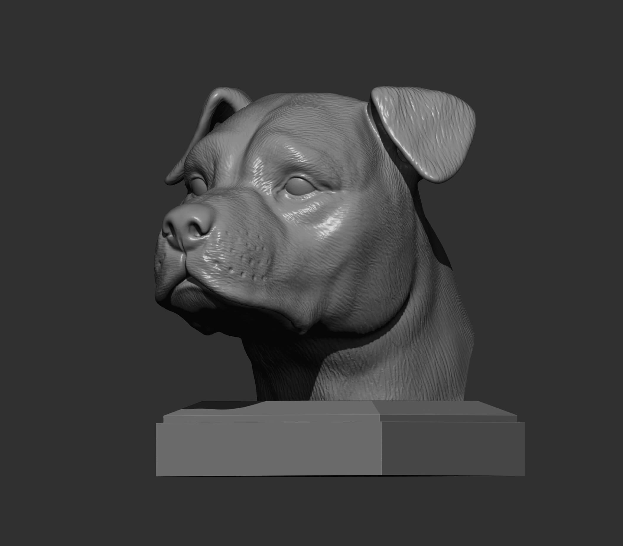 American Staffordshire Terrier Bust 3D Print Model by Alexander3dart