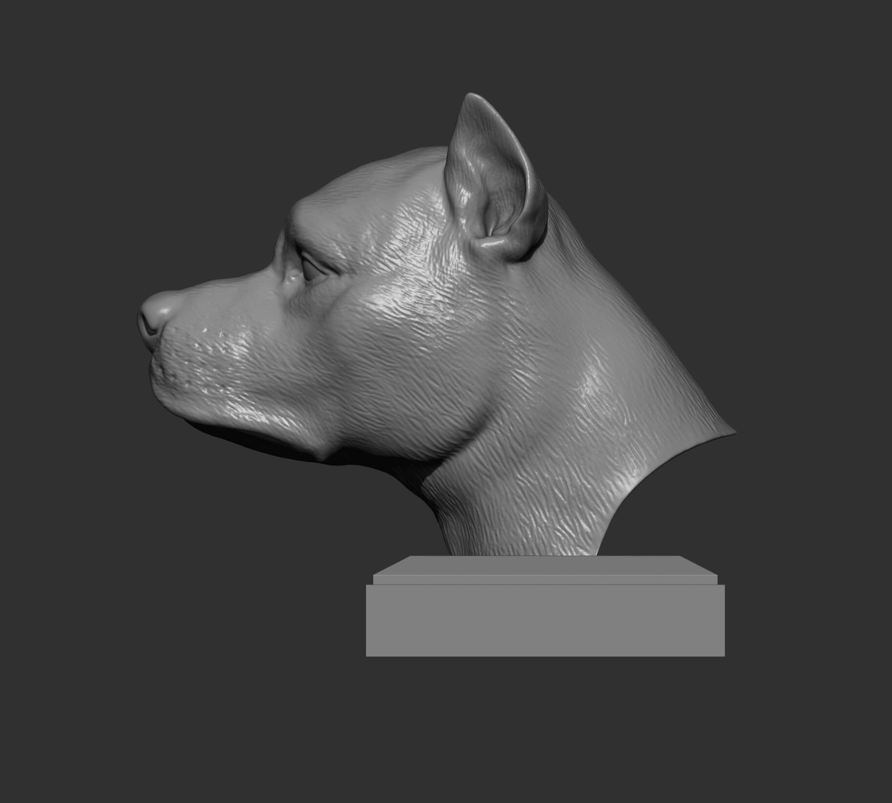 American Staffordshire Terrier Bust 3D Print Model by Alexander3dart