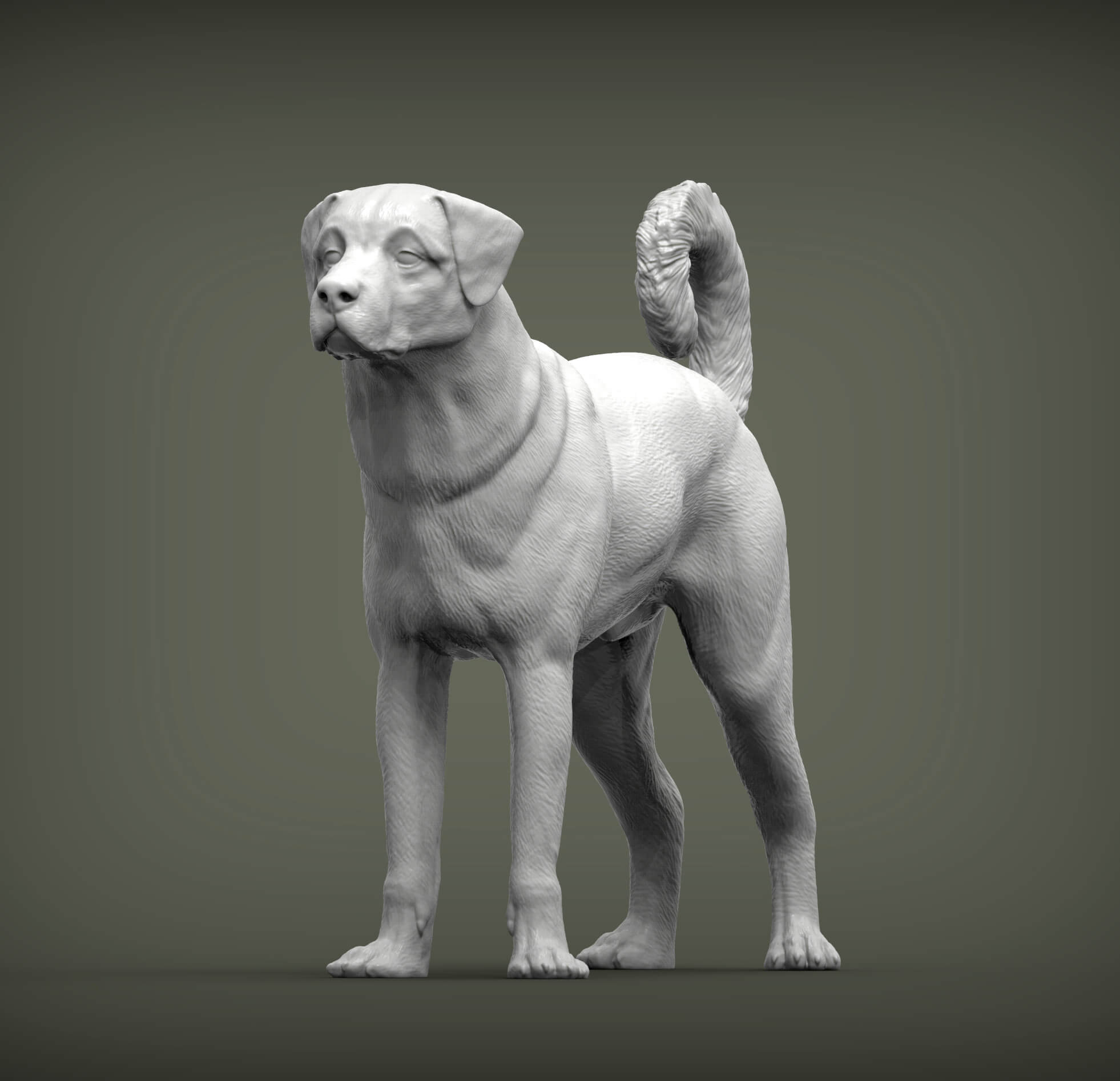 Anatolian Shepherd 3D Print Model by Alexander3dart