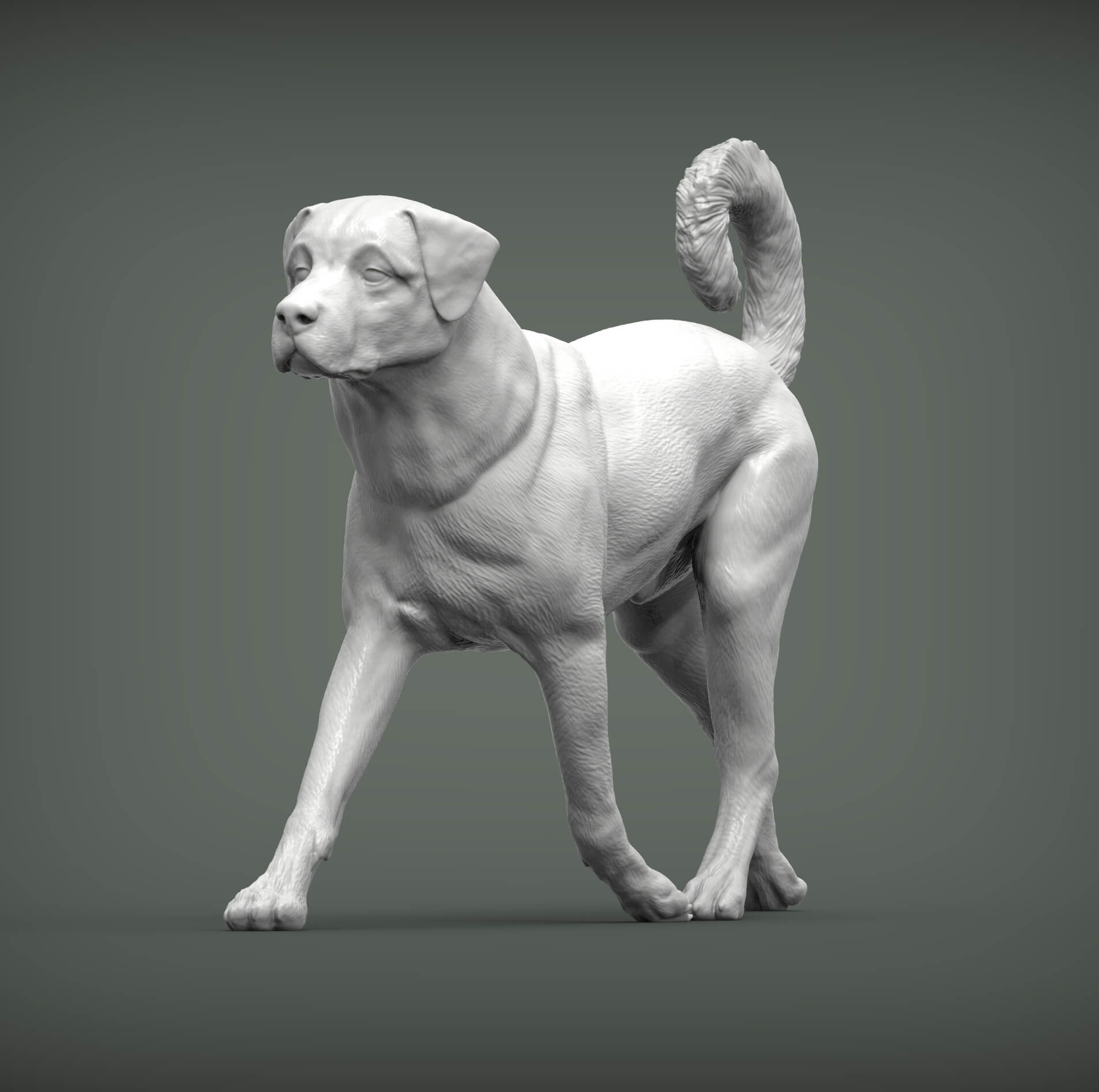 Anatolian Shepherd Running 3D Print Model by Alexander3dart