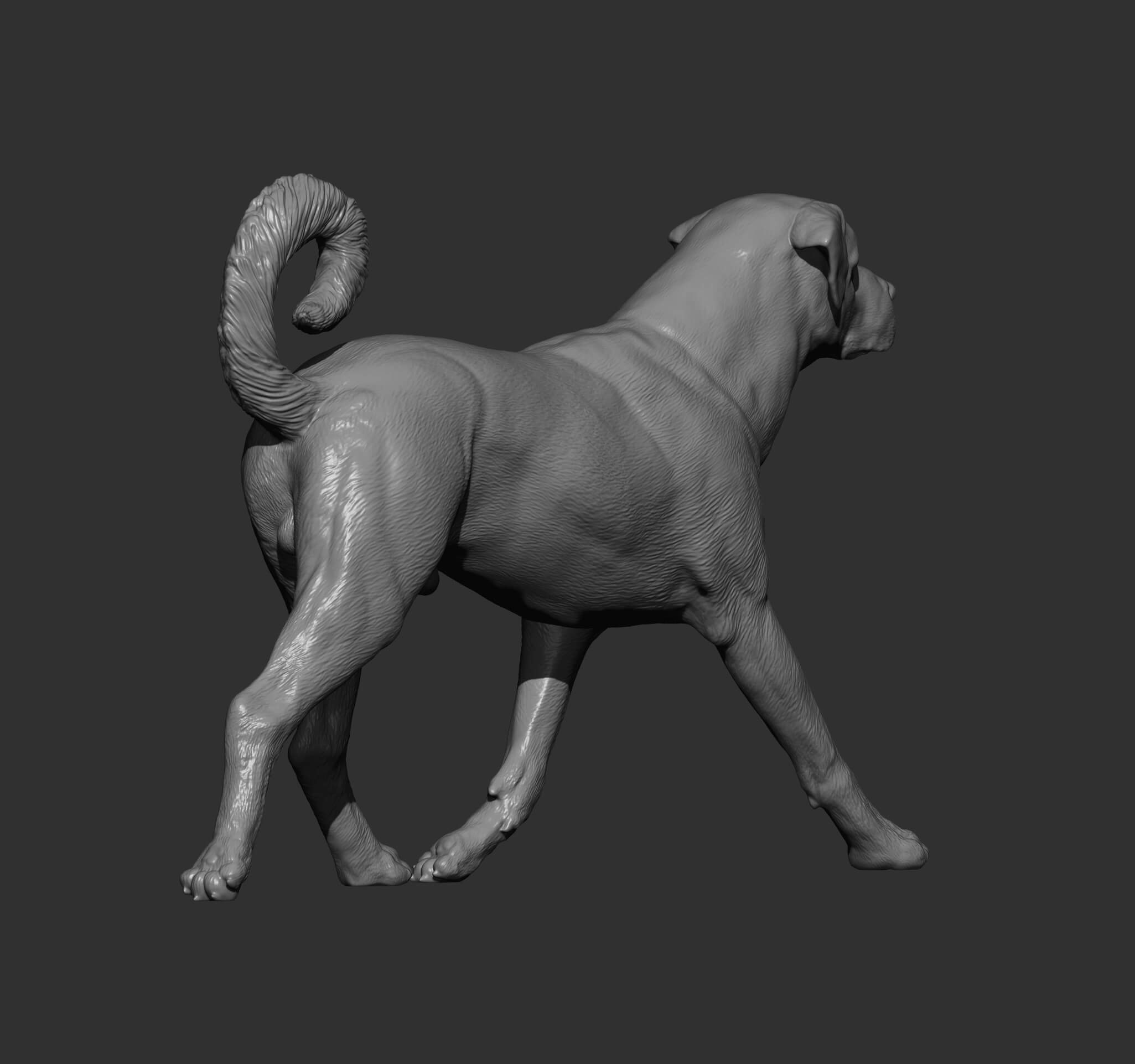 Anatolian Shepherd Running 3D Print Model by Alexander3dart