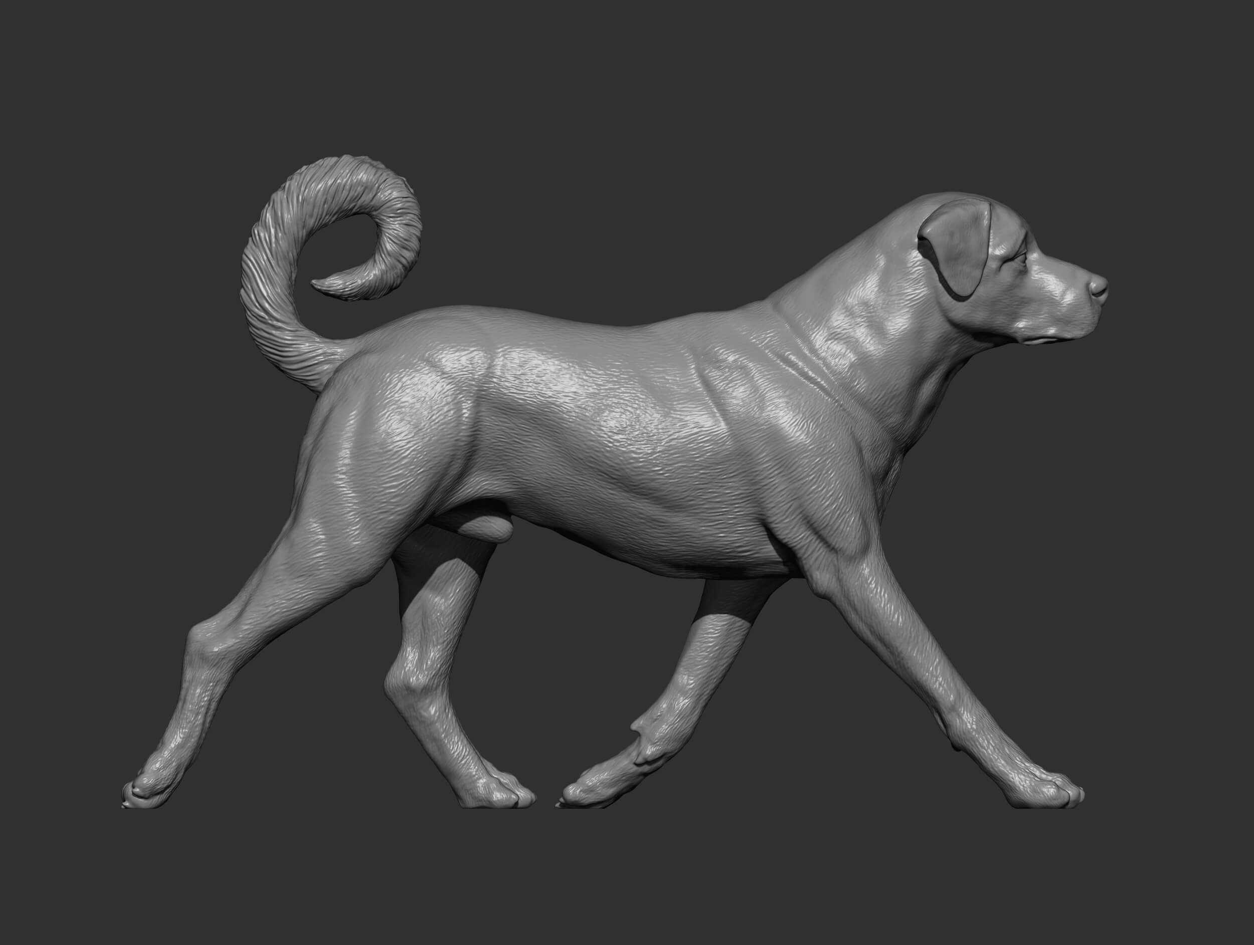 Anatolian Shepherd Running 3D Print Model by Alexander3dart