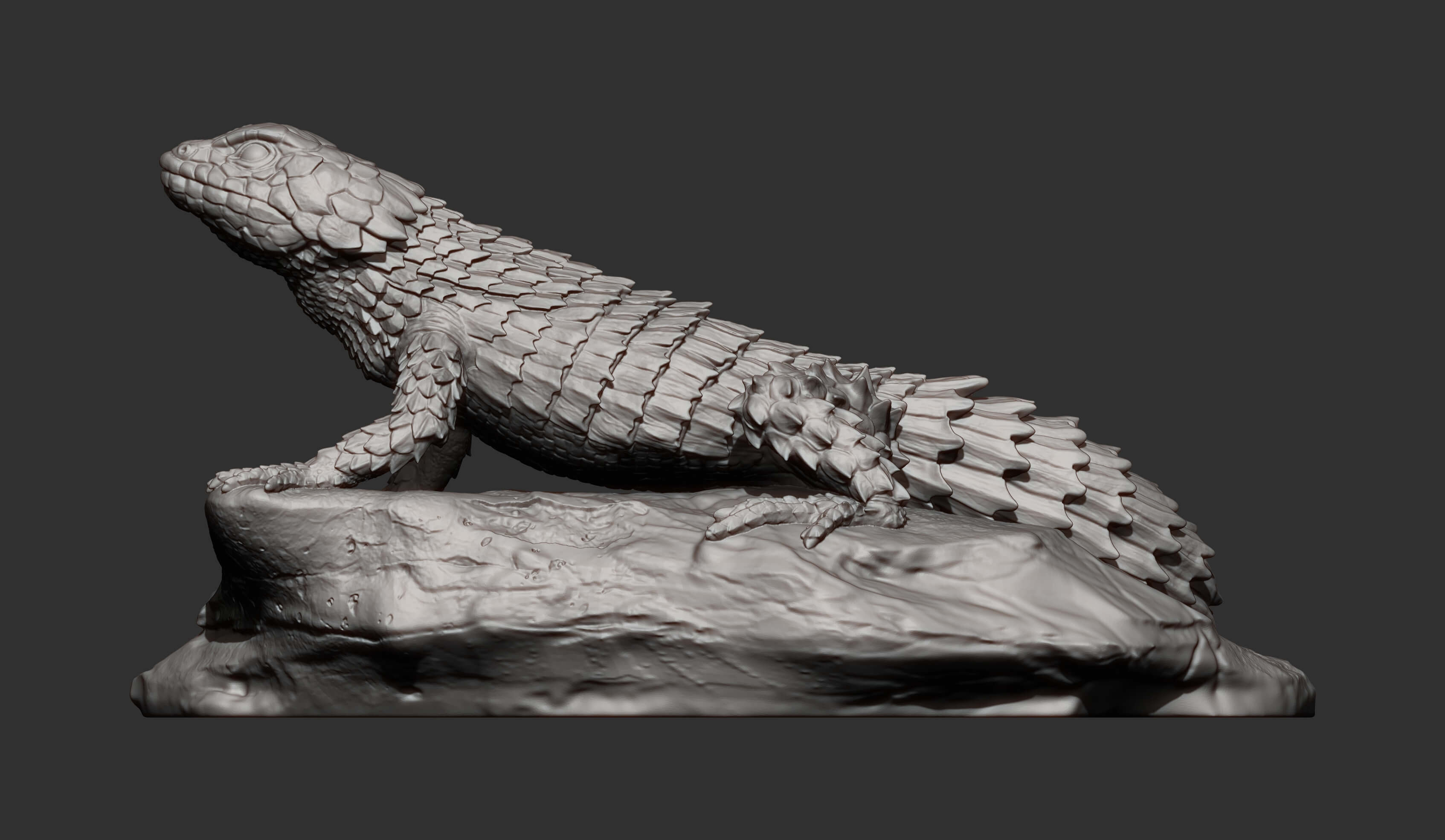 Armadillo Lizard 3D Print Model by Alexander3dart