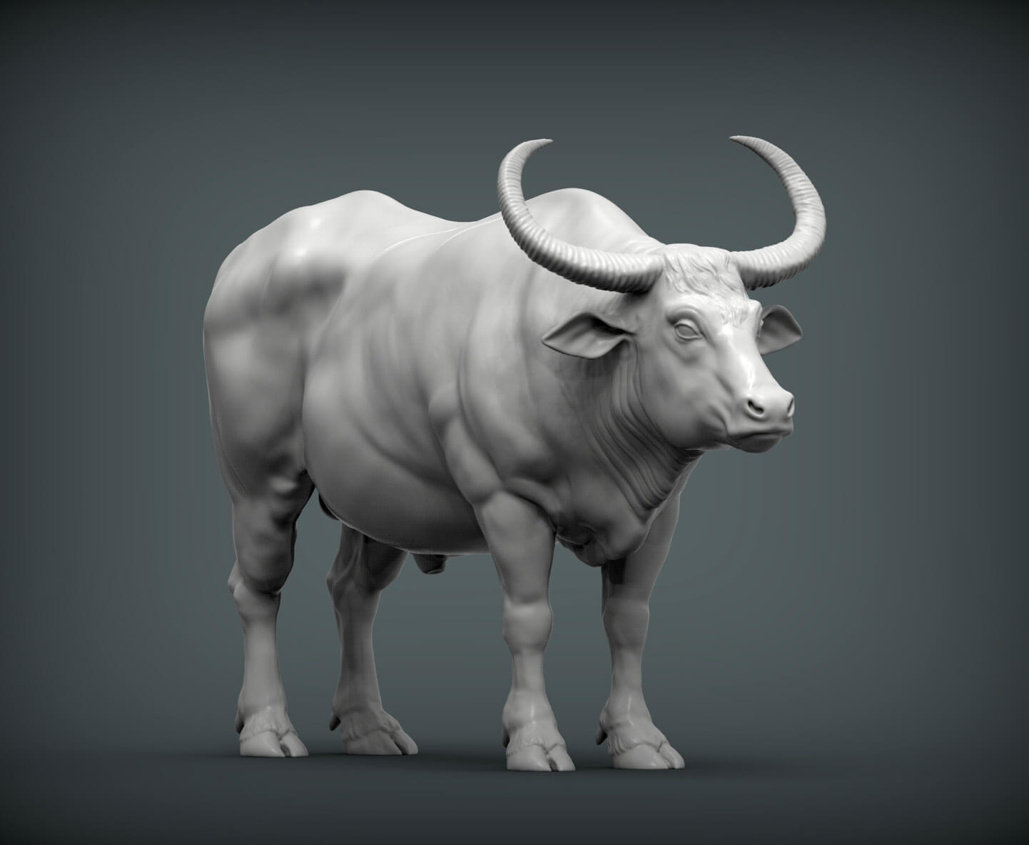 Asian Buffalo 3D Print Model by Alexander3dart